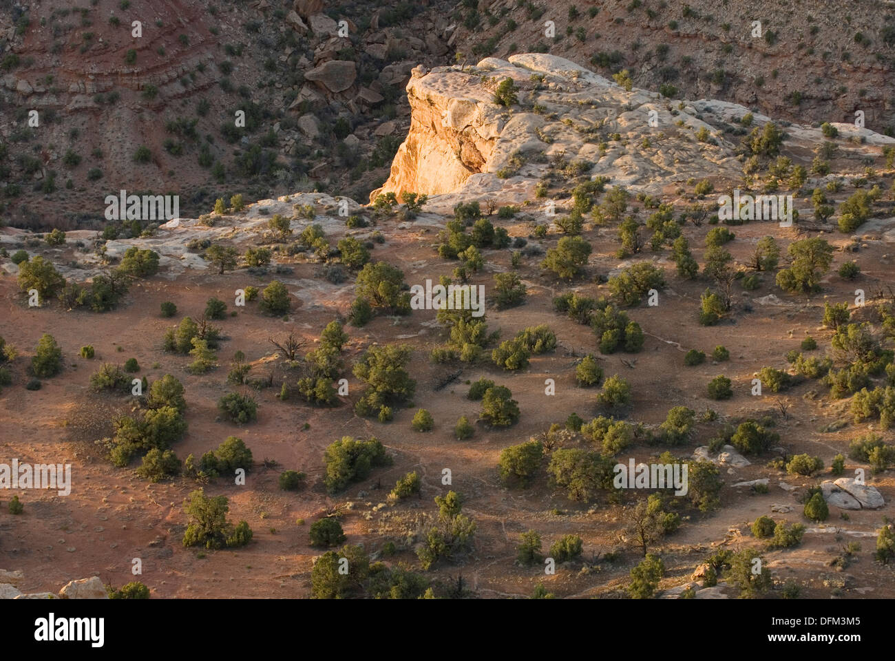 Little grand canyon of the san rafael hi-res stock photography and ...