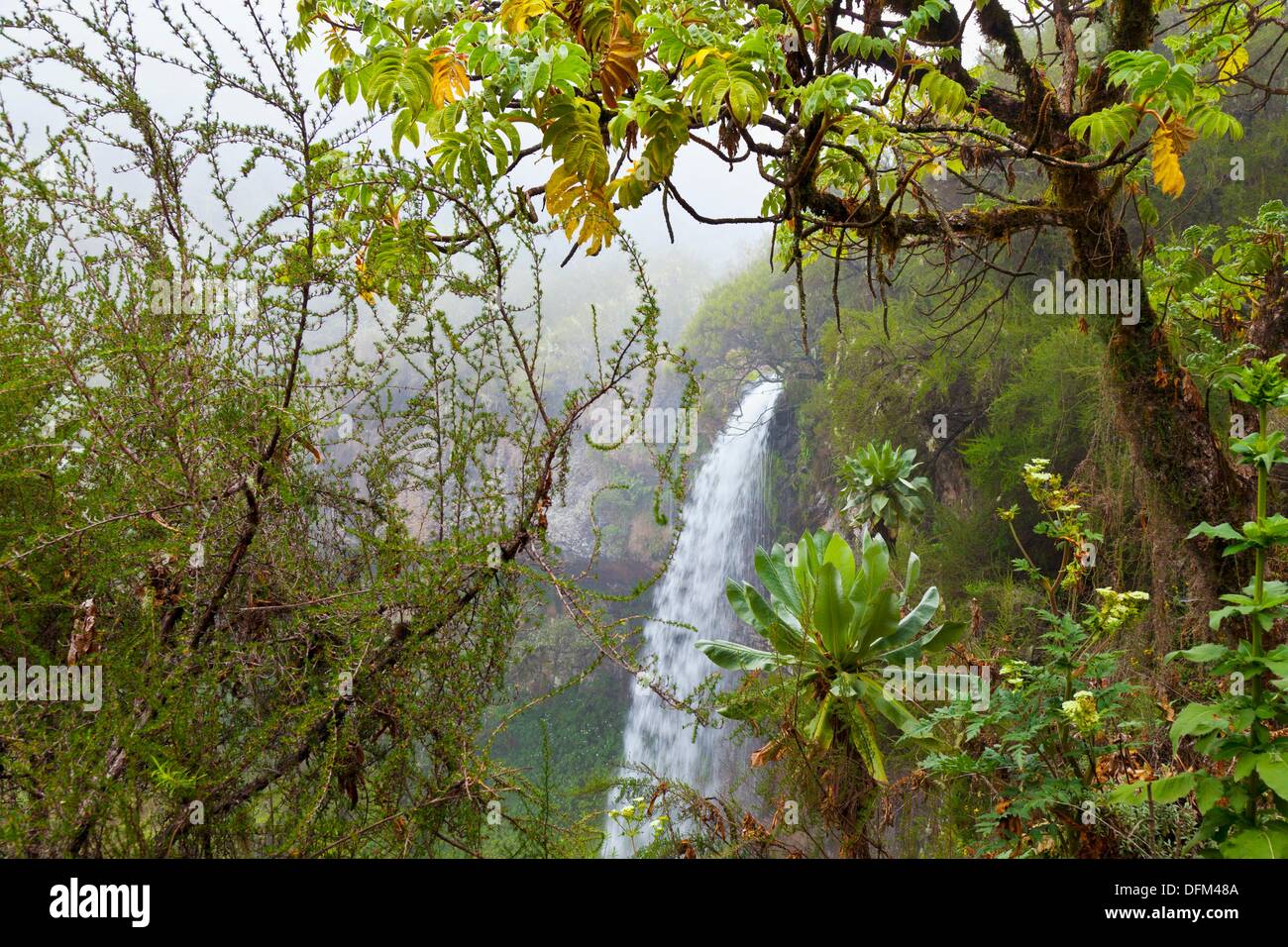 Chania falls hi-res stock photography and images - Alamy