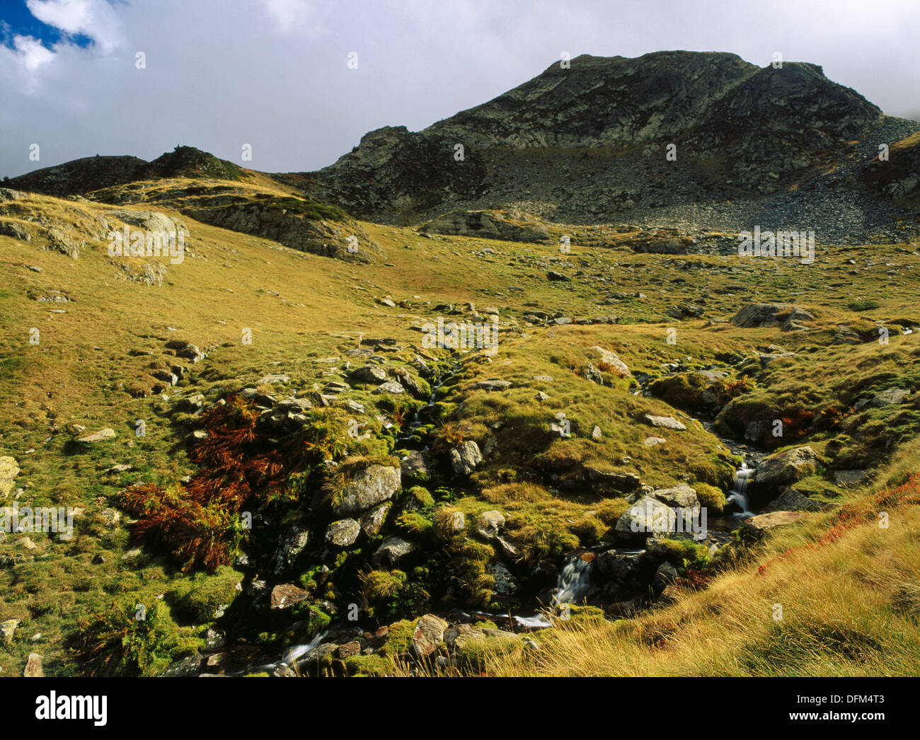 Tavascan hi-res stock photography and images - Alamy