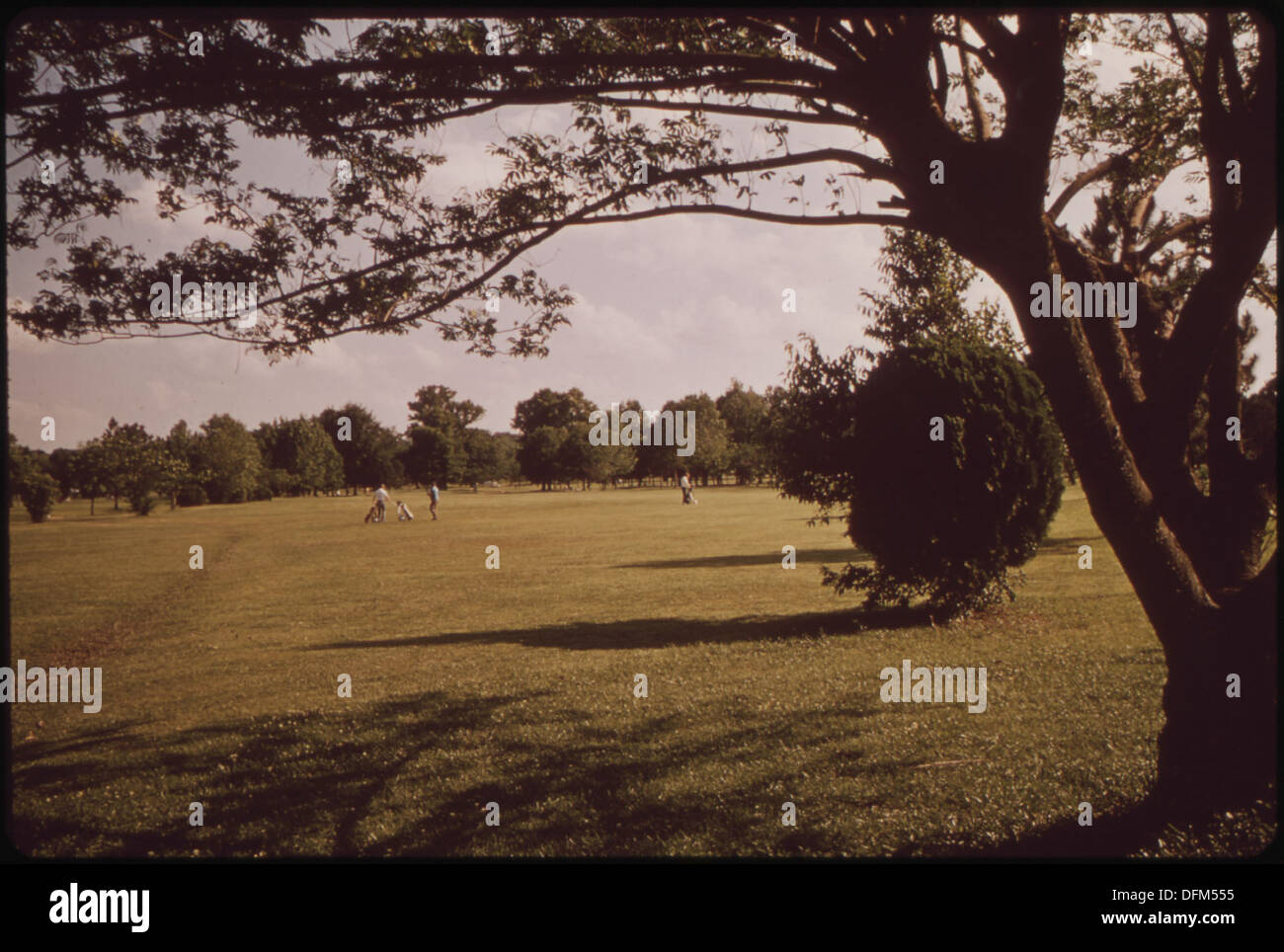 A municipal golf course built on a former sanitary landfill ...