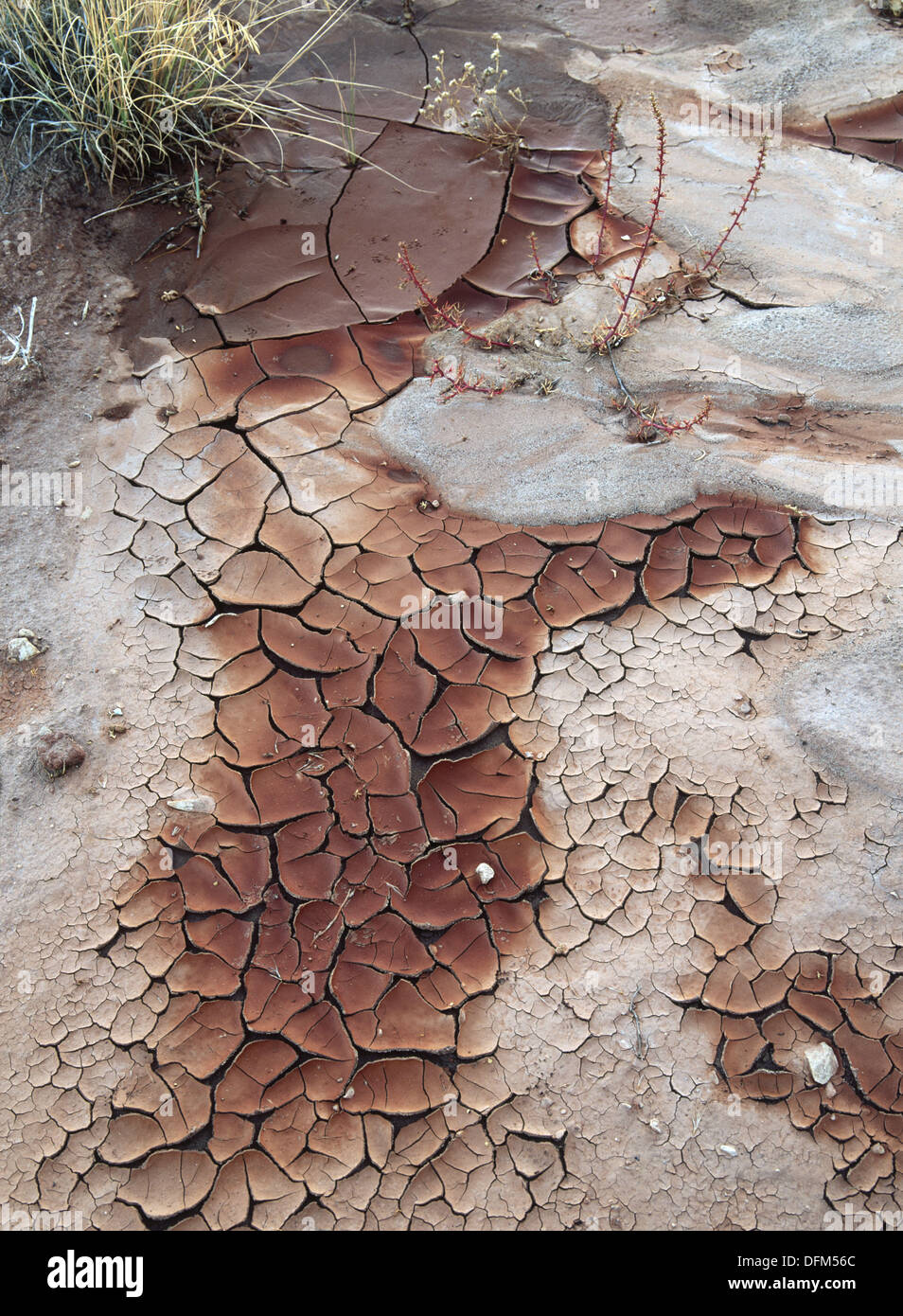 Natural earth art hi-res stock photography and images - Alamy