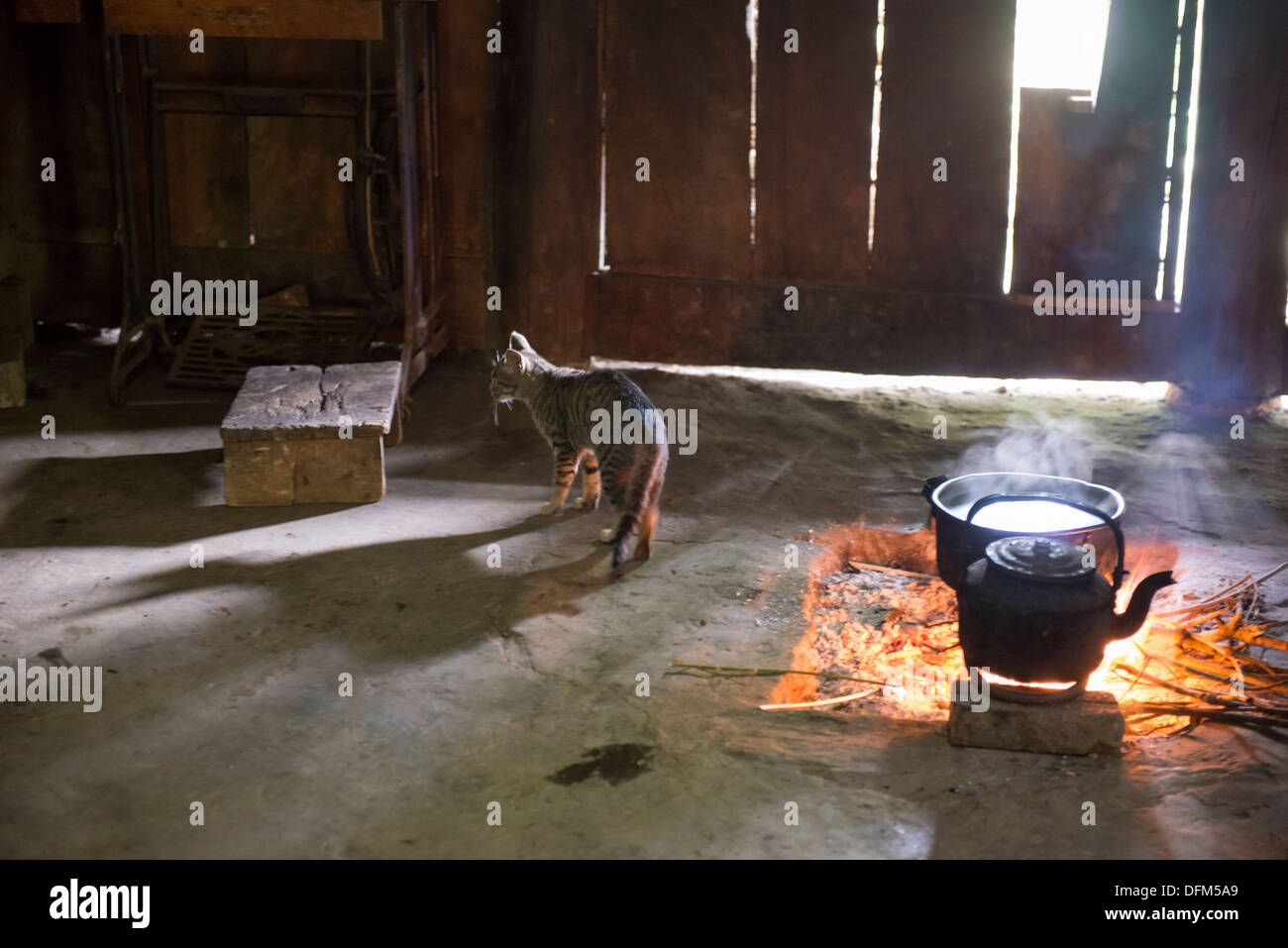 House On Fire Inside