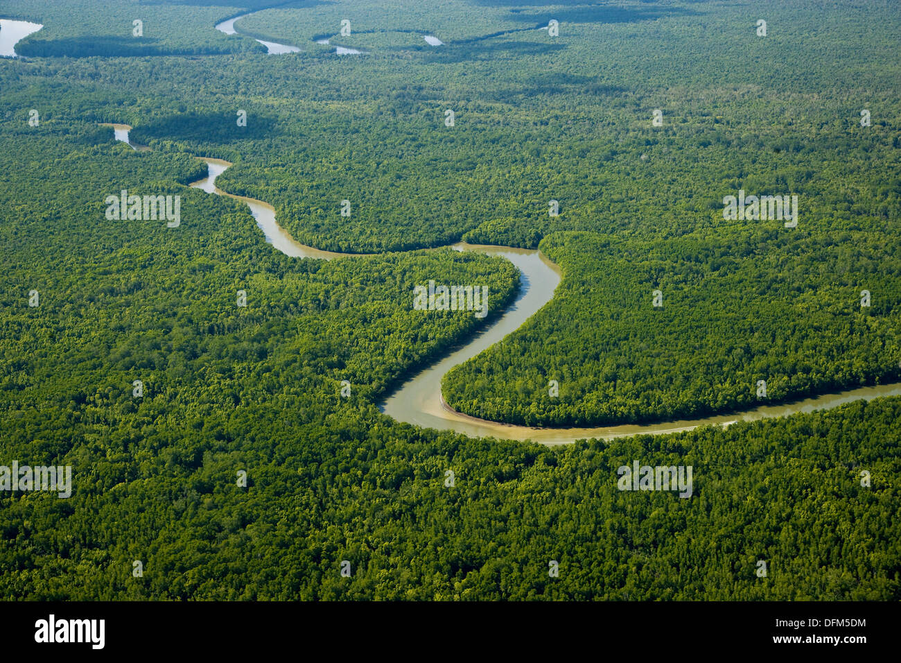 Kinabatangan river aerial hi-res stock photography and images - Alamy