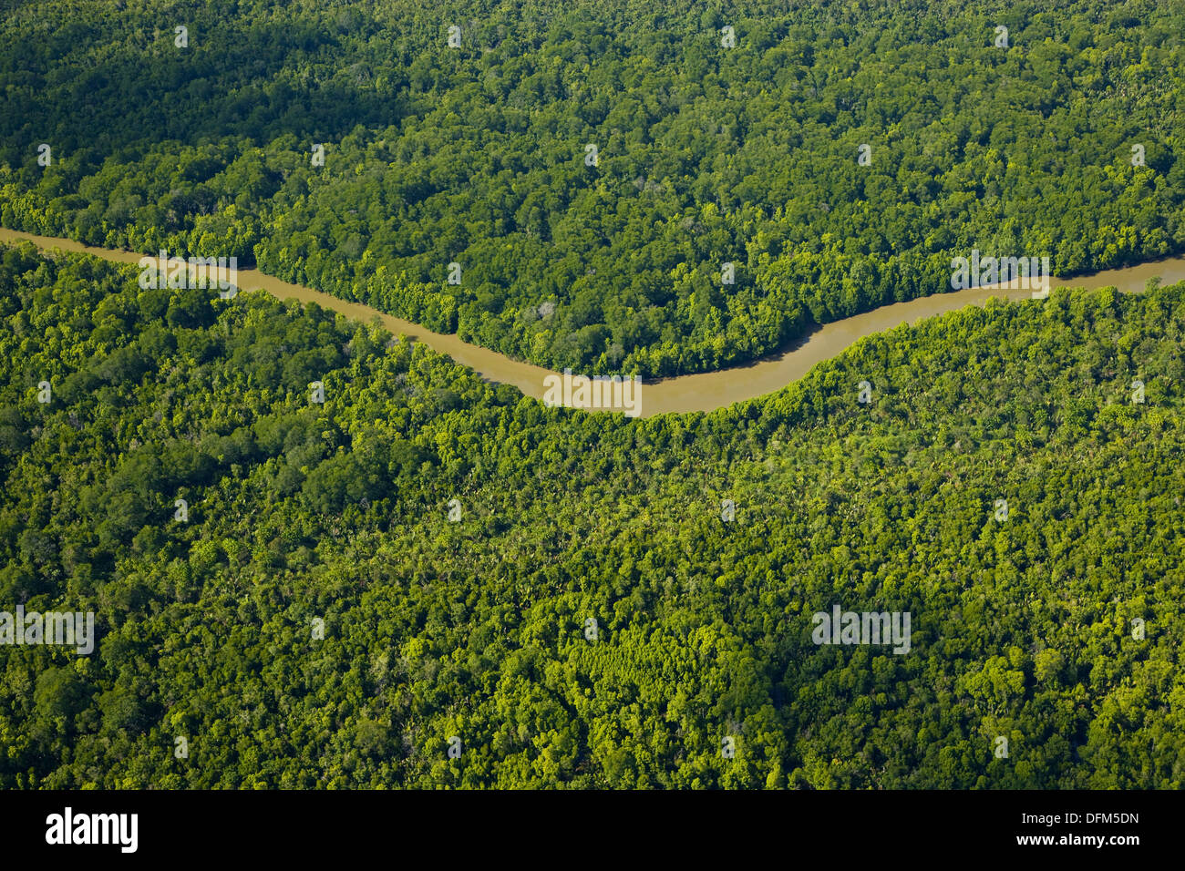 Kinabatangan river aerial hi-res stock photography and images - Alamy