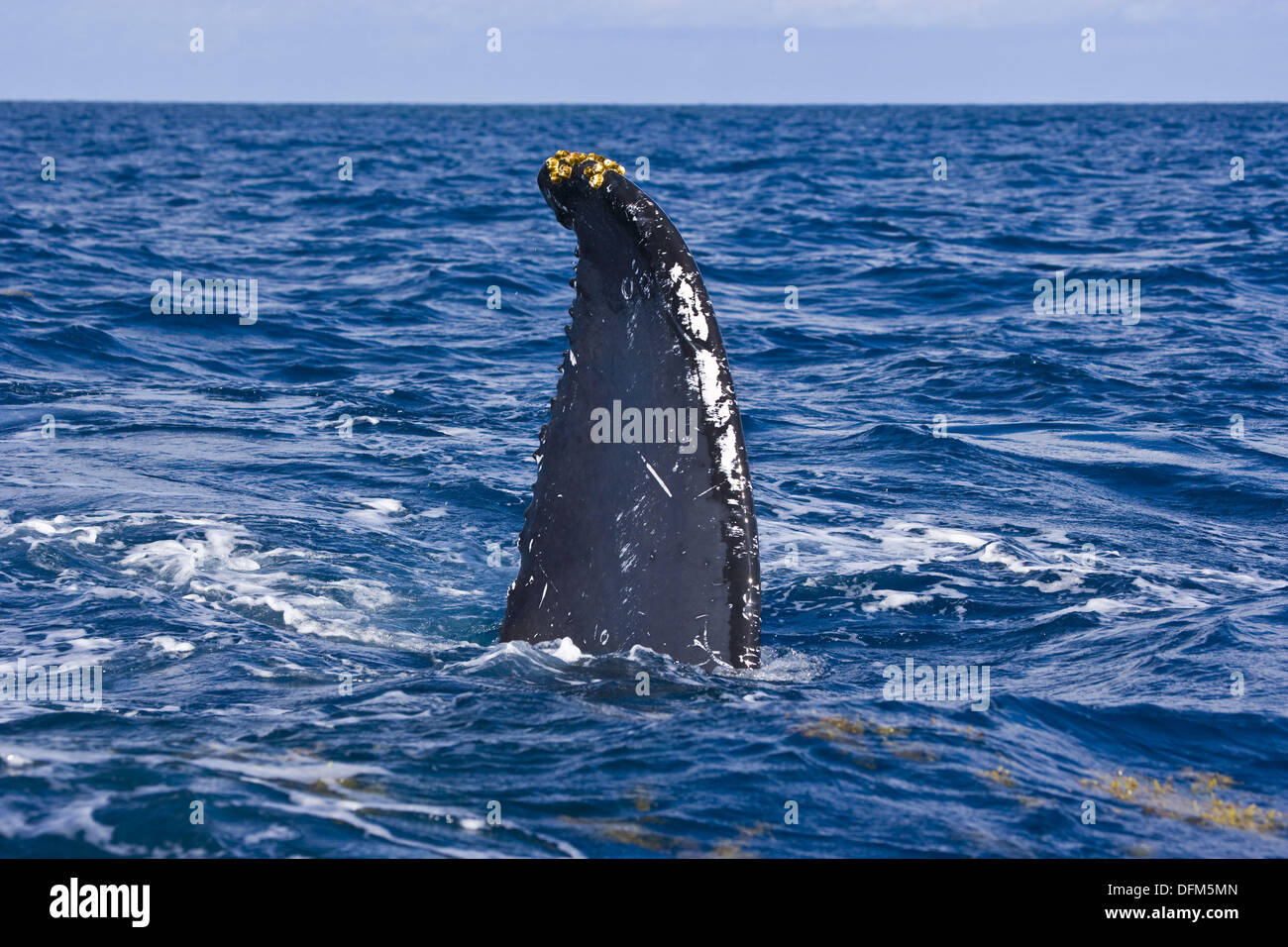 Silver bank hi-res stock photography and images - Alamy