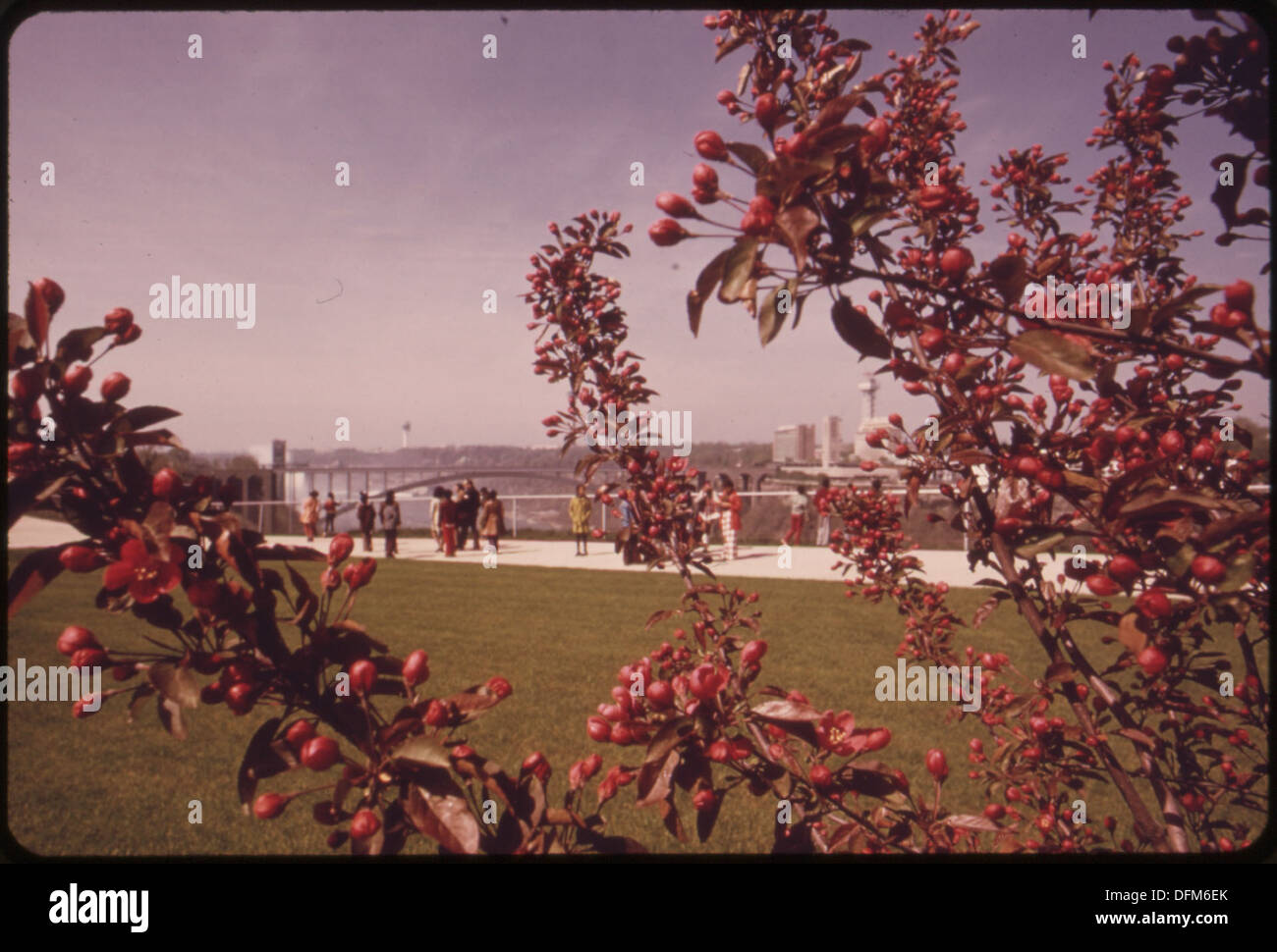 A new geology museum, located just north of Prospect Park on the U.S ...