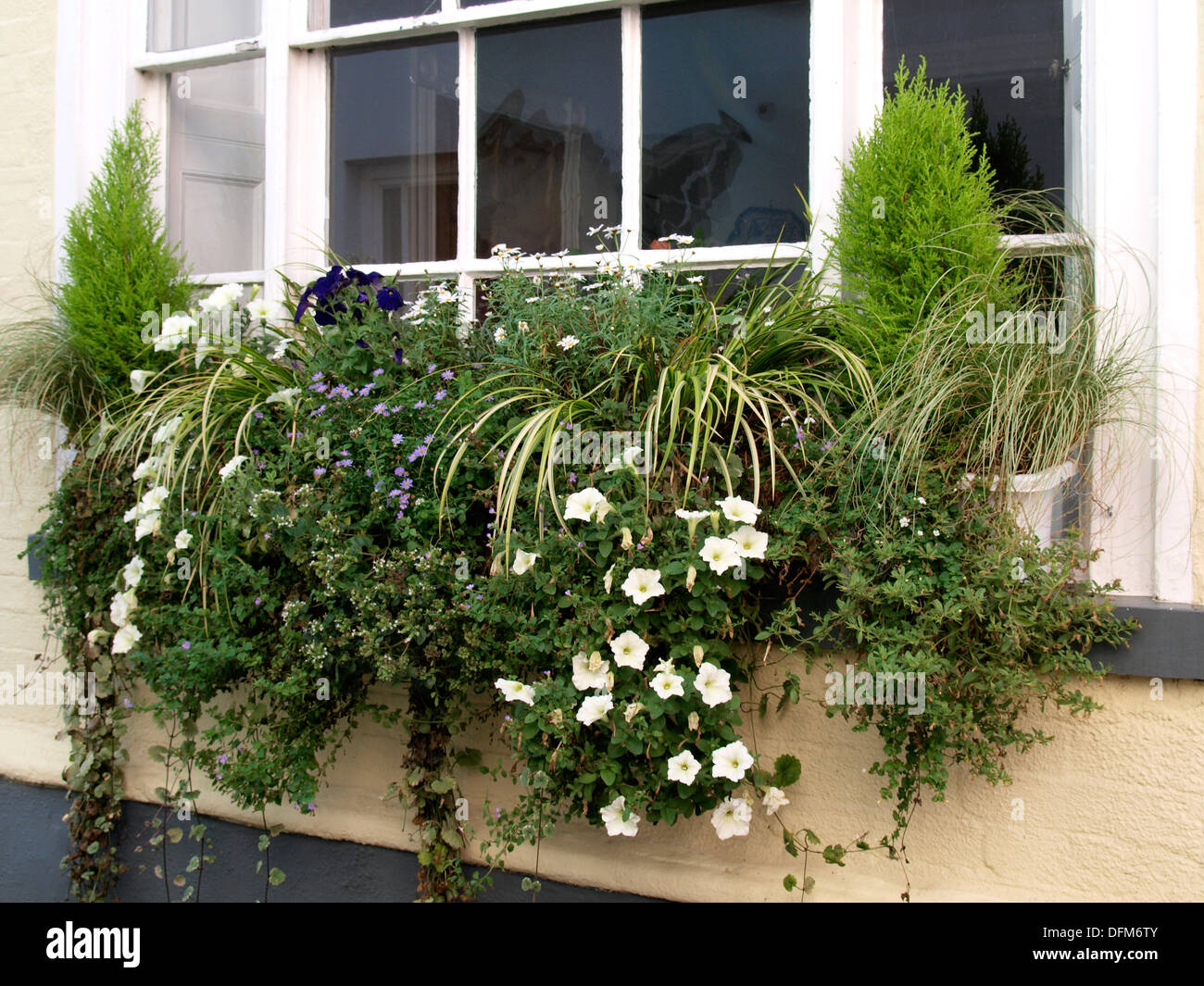 Window box, UK Stock Photo - Alamy