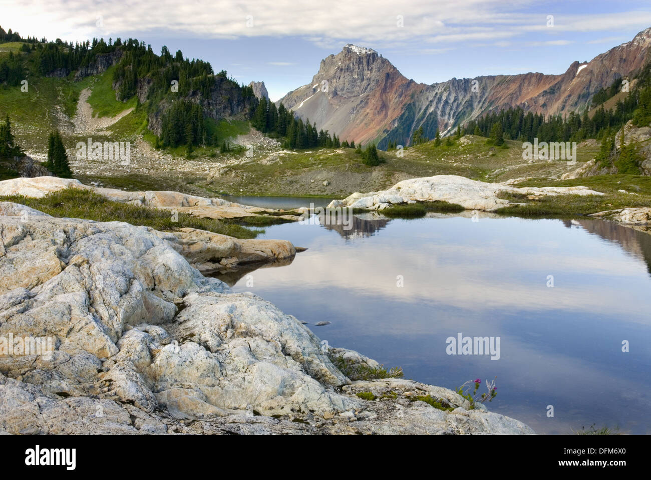 Tarn Border High Resolution Stock Photography and Images - Alamy