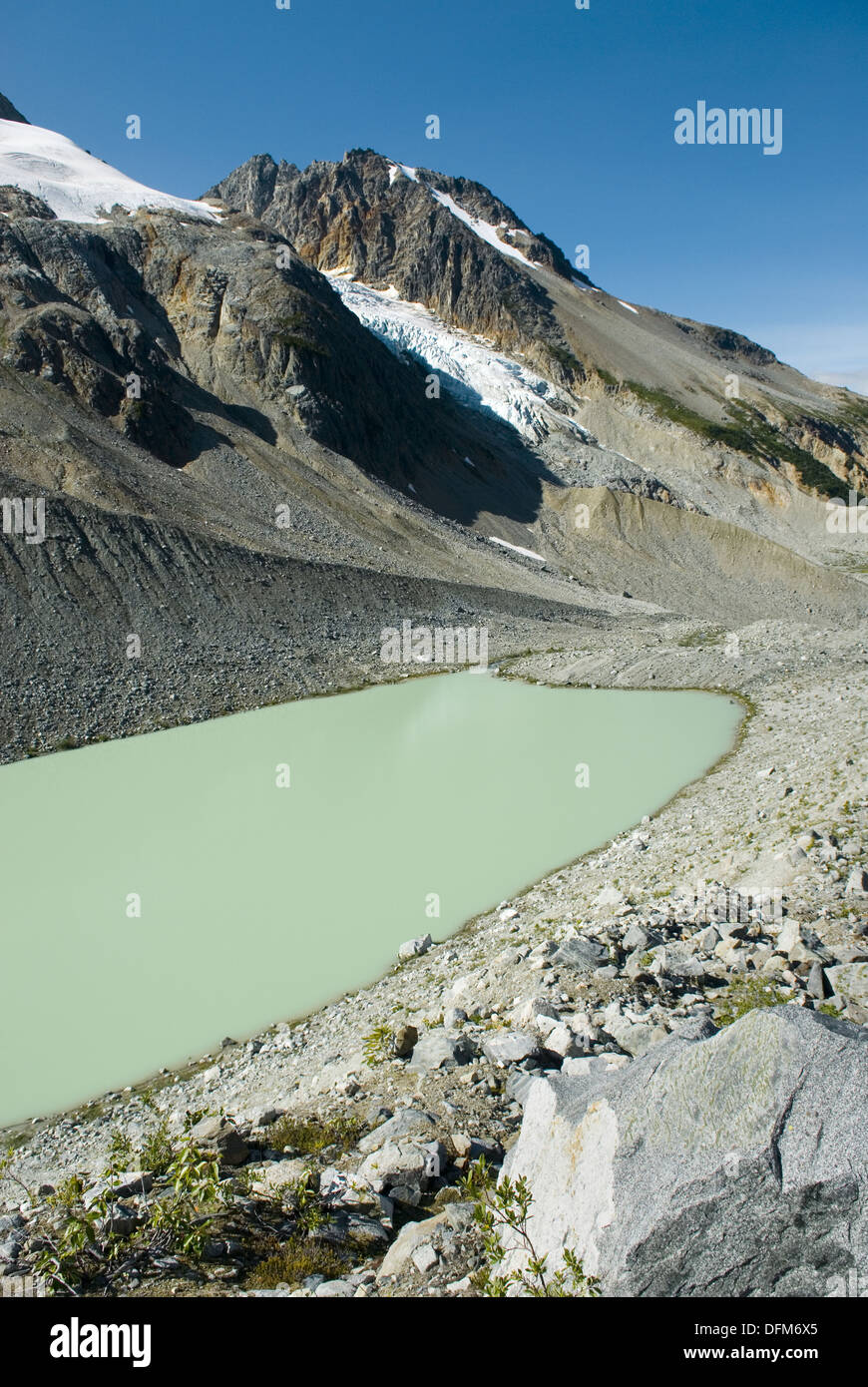 Boulder salal hi-res stock photography and images - Alamy