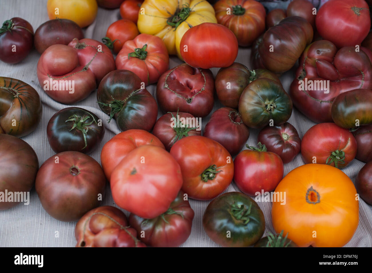 Abundance tomatoes hi-res stock photography and images - Alamy