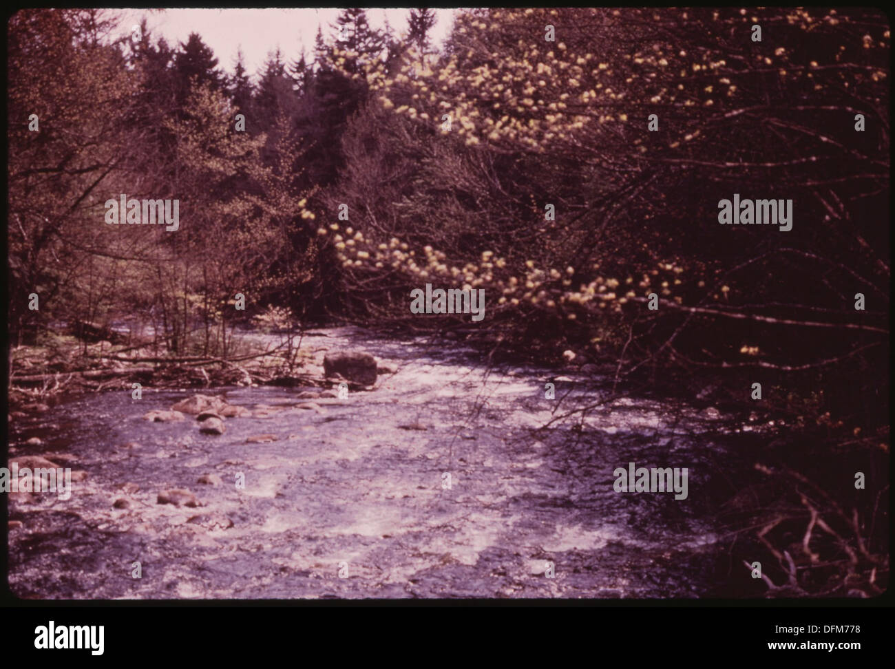 The North Branch of the Moose River is visible from a bridge on Big ...
