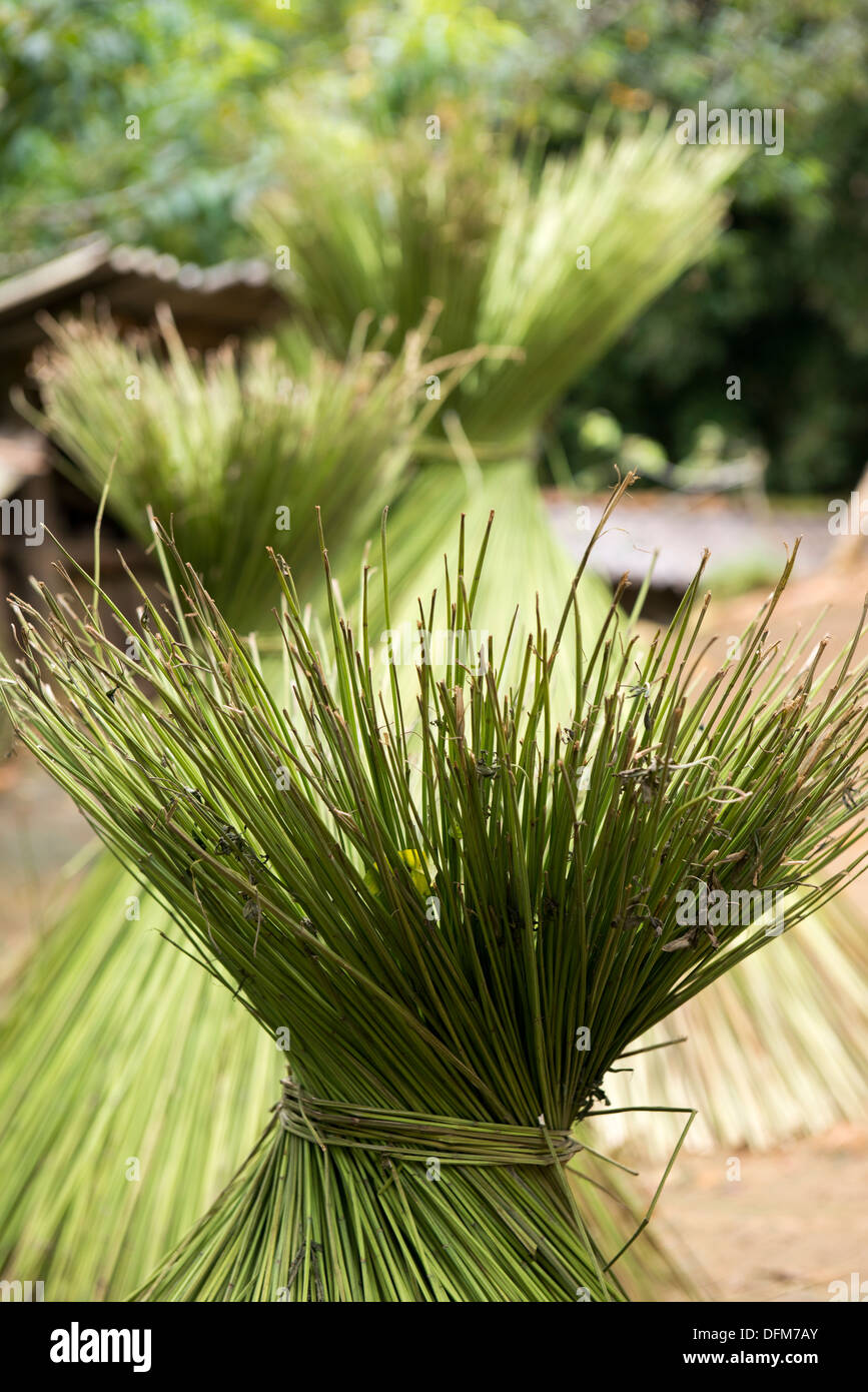 Hemp house hi-res stock photography and images - Alamy