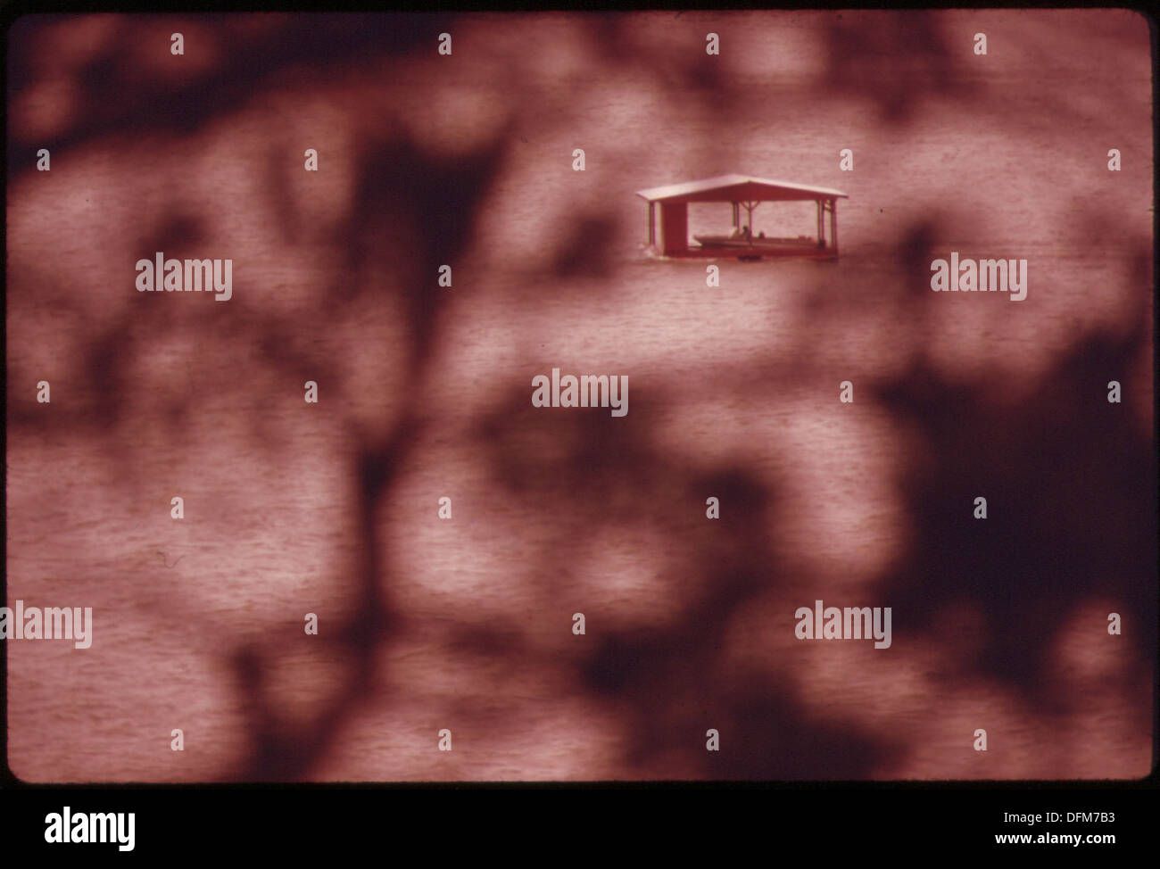 A boat dock, framed by the branches of a cedar tree, is powered by the ...