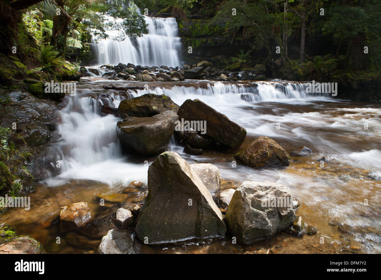Liffey Falls in Liffey Falls State Reserve on a cold winter's morning ...