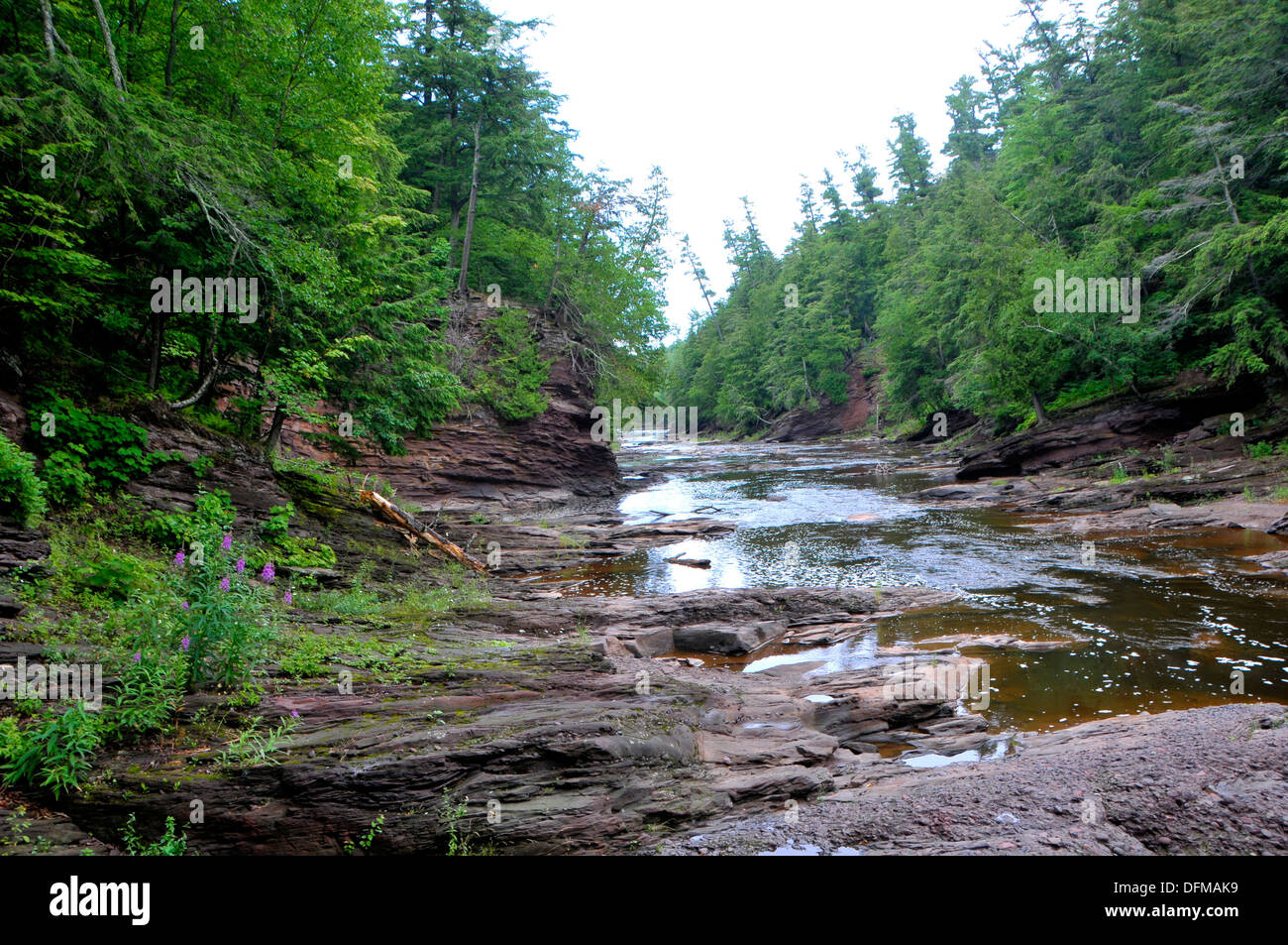 Black upper hi-res stock photography and images - Alamy