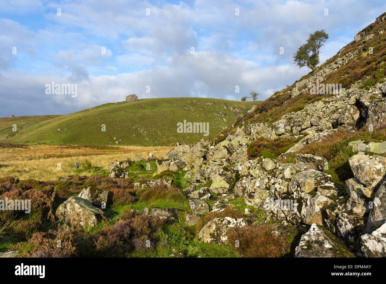 The Pennine Way Footpath Below Falcon Clints in Upper Teesdale County ...