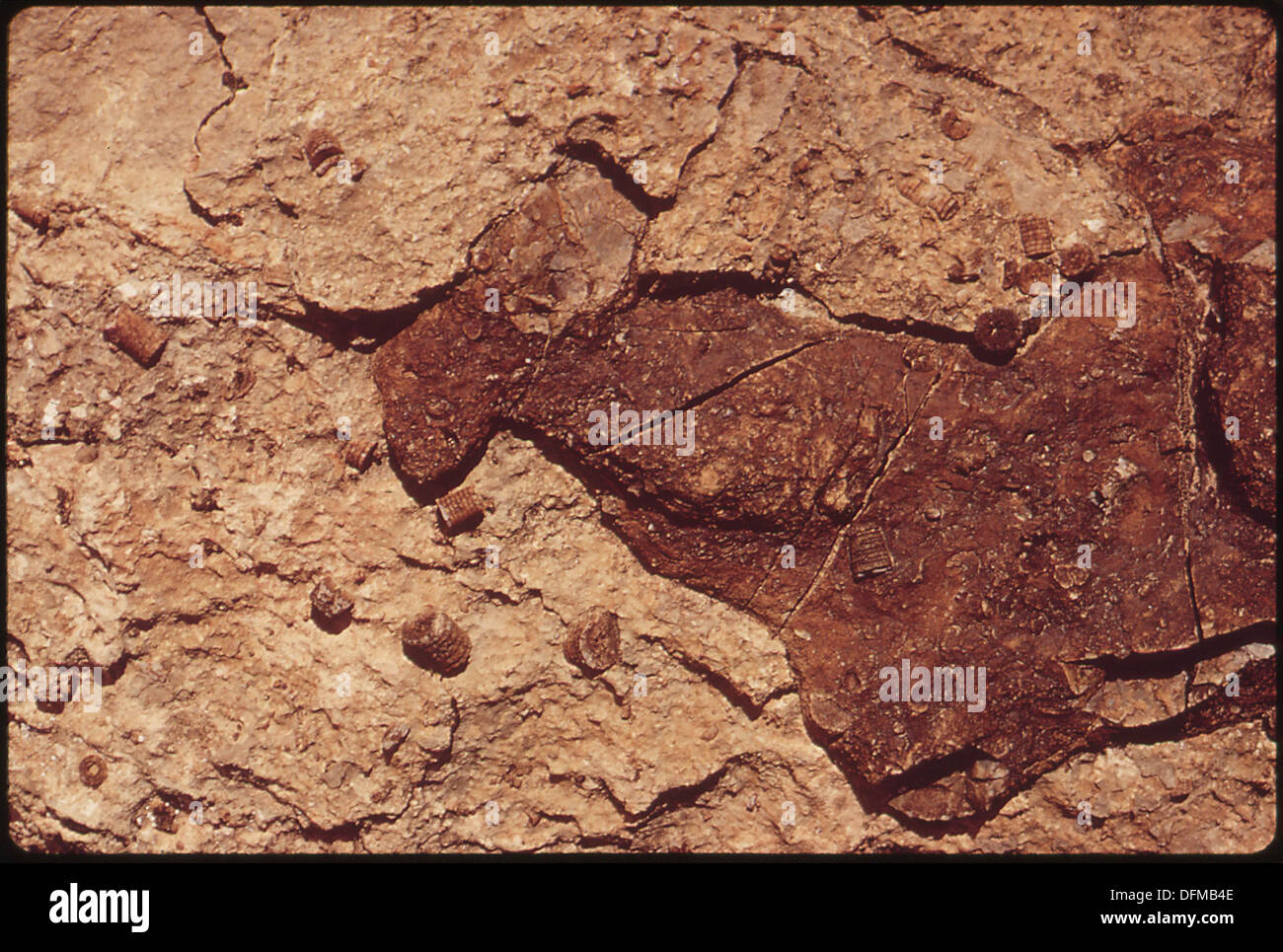 Spanish bottom hi-res stock photography and images - Alamy