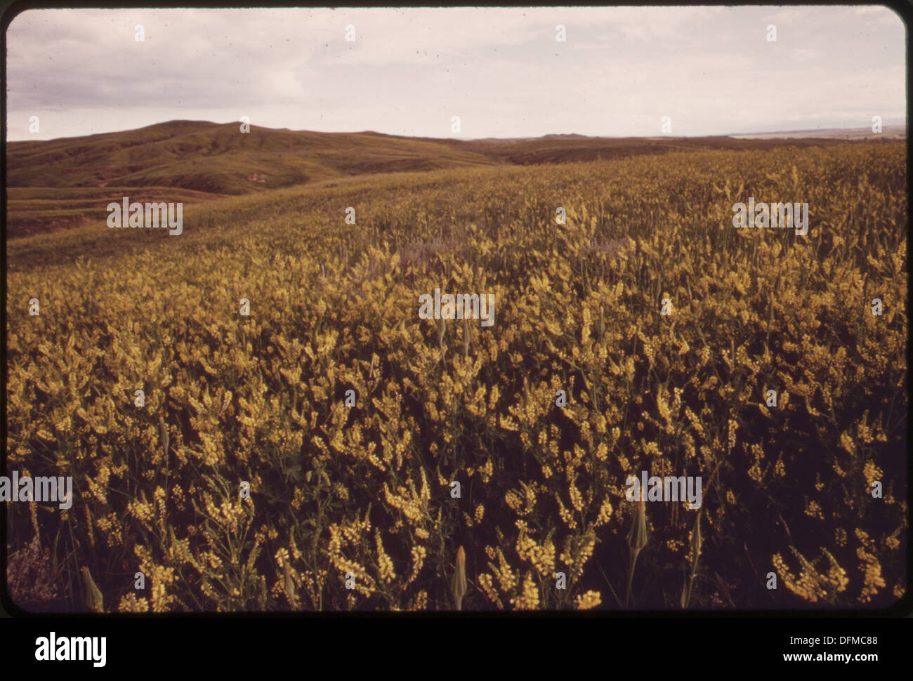 The image depicts open range land near the Custer Battlefield National ...