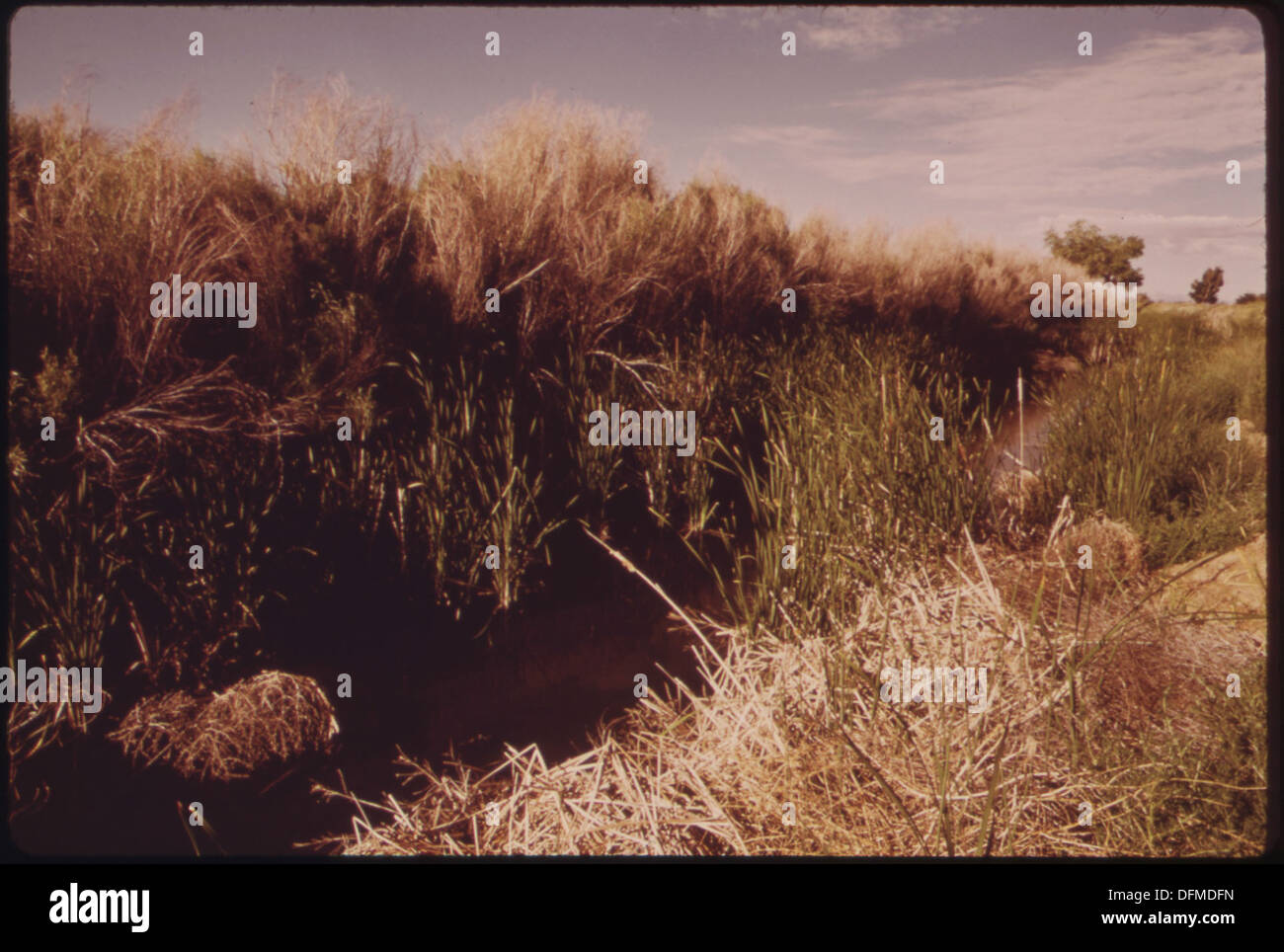 Difficult to manage hi-res stock photography and images - Alamy