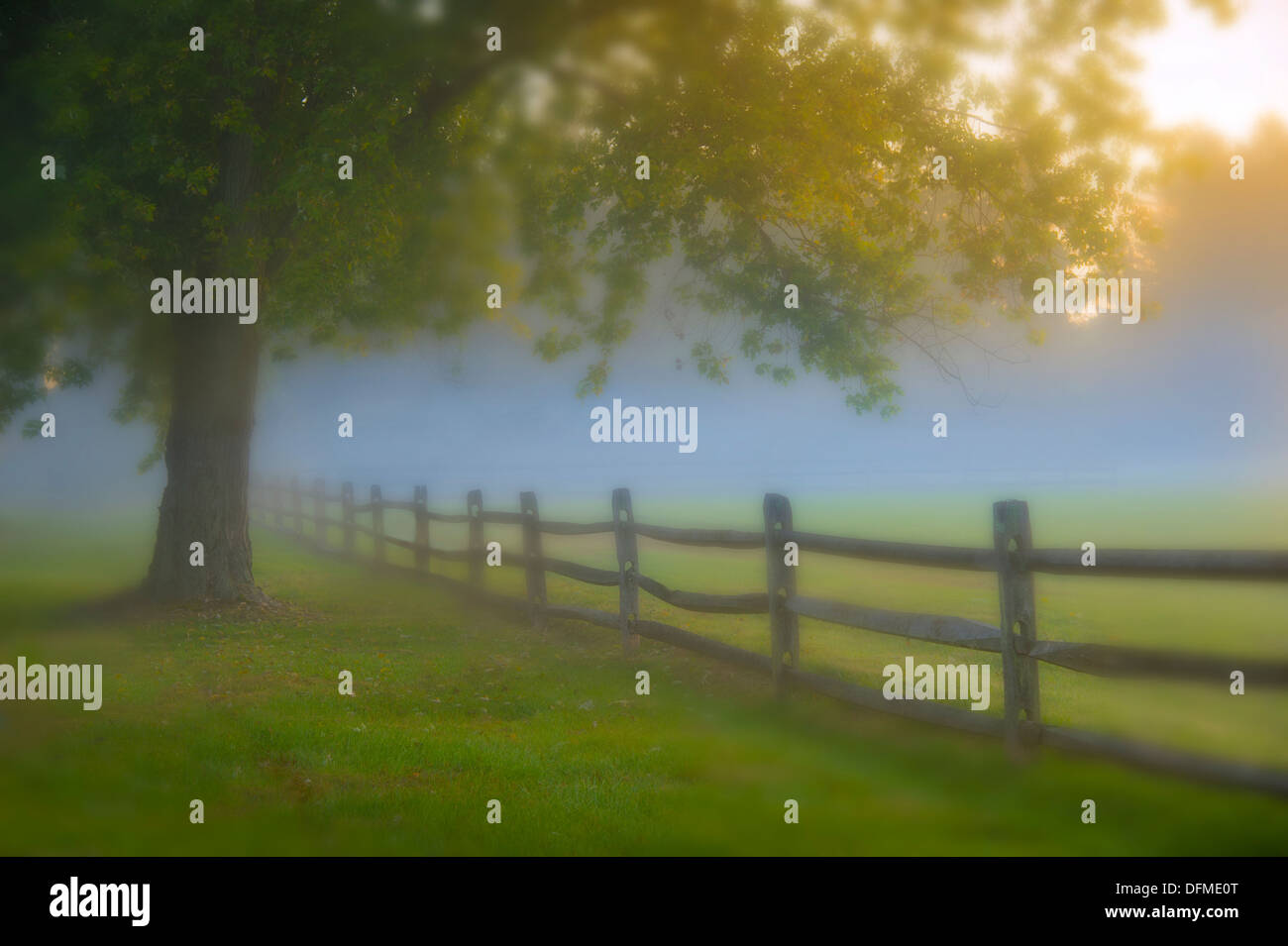 Welcoming tree hi-res stock photography and images - Alamy