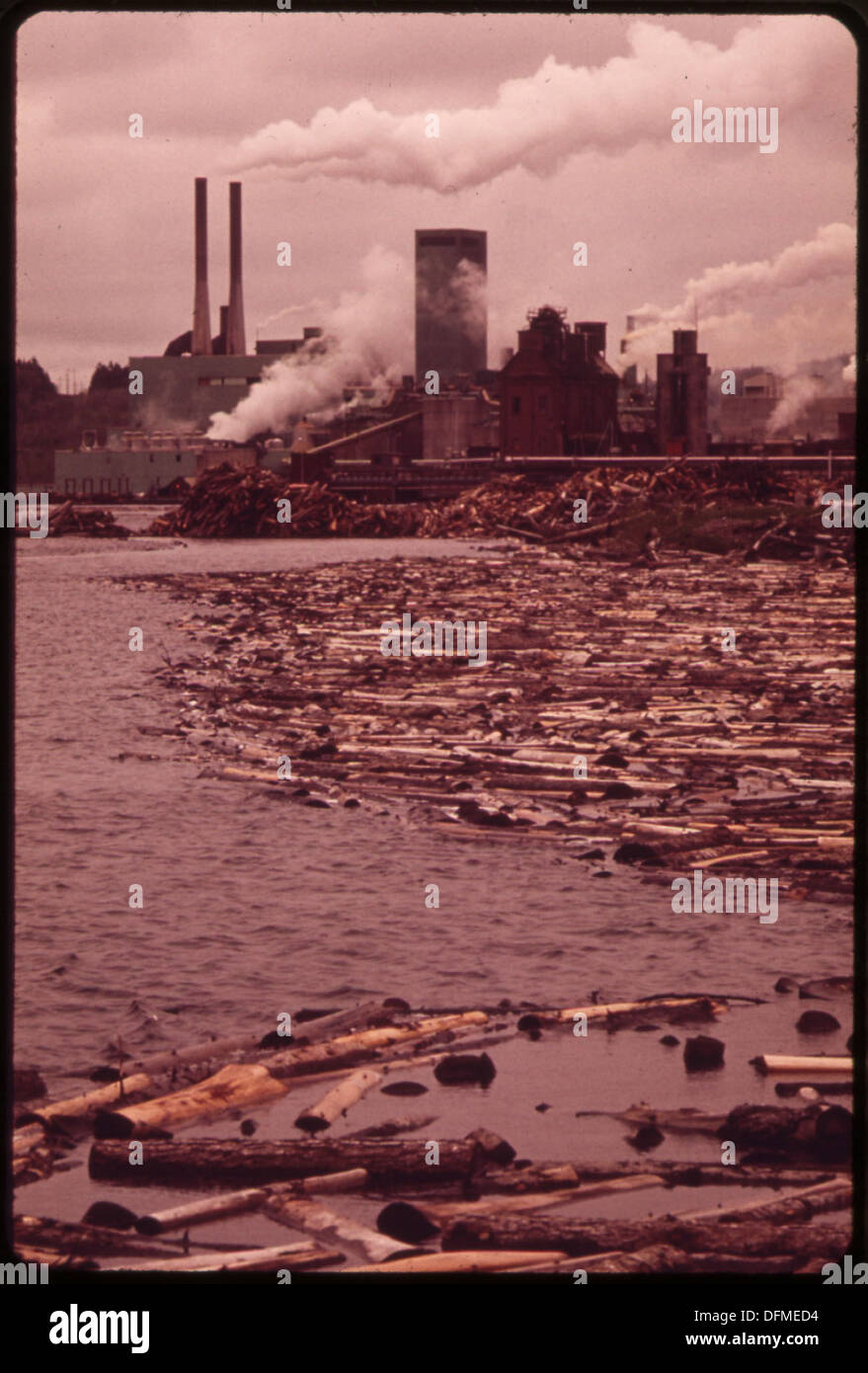 Georgia pacific paper mill hi-res stock photography and images - Alamy