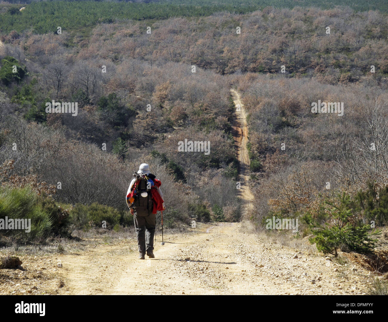 James cane hi-res stock photography and images - Alamy