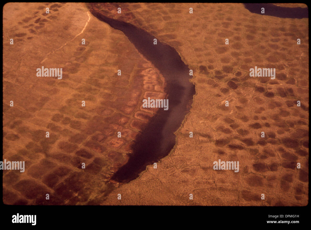 Patterned ground in the Arctic tundra displays ice polygons with ...