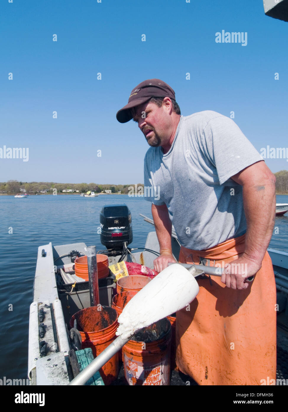 Quahaug hi-res stock photography and images - Alamy