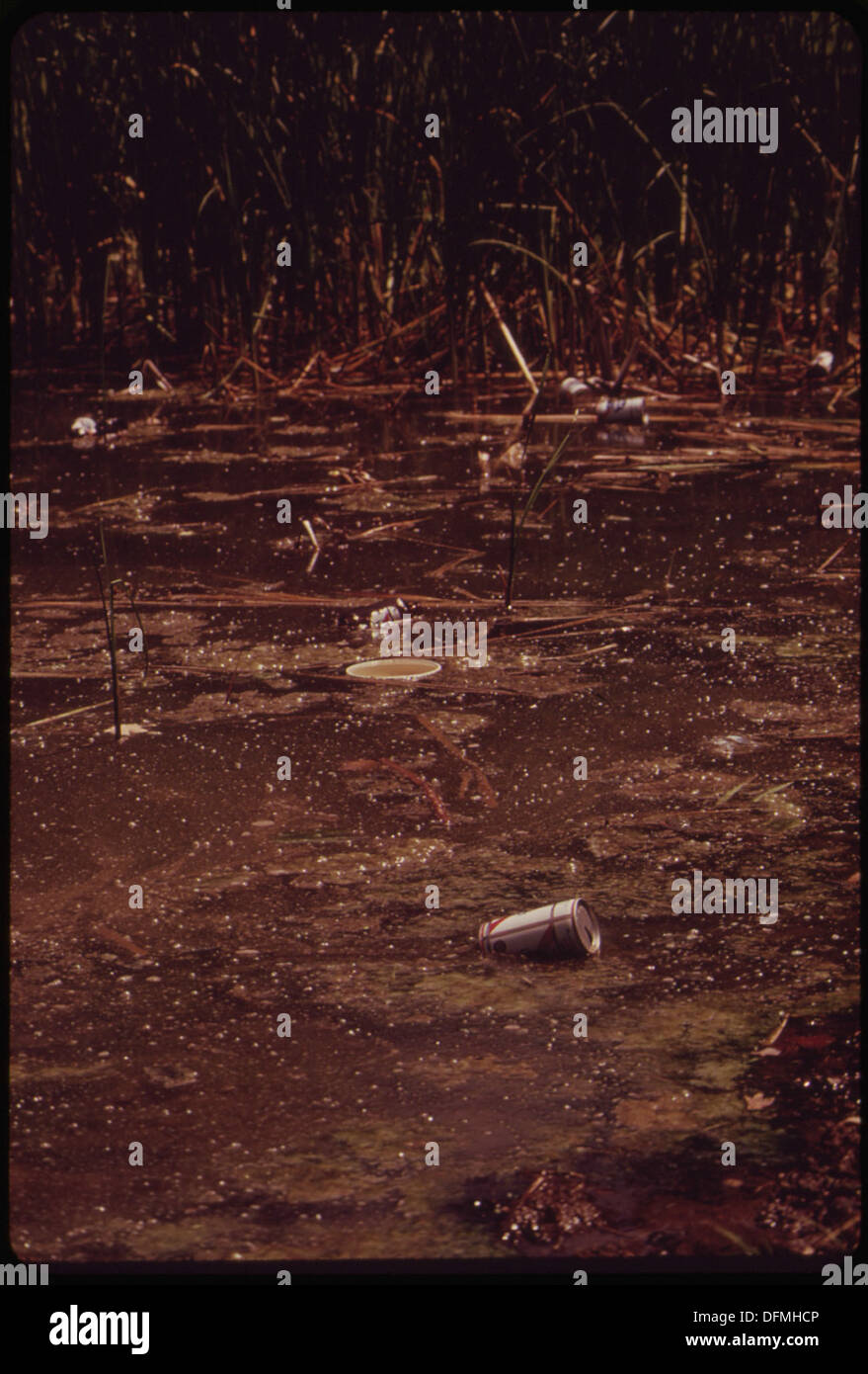 This image shows litter, including Pepsi cans, near the banks of the ...