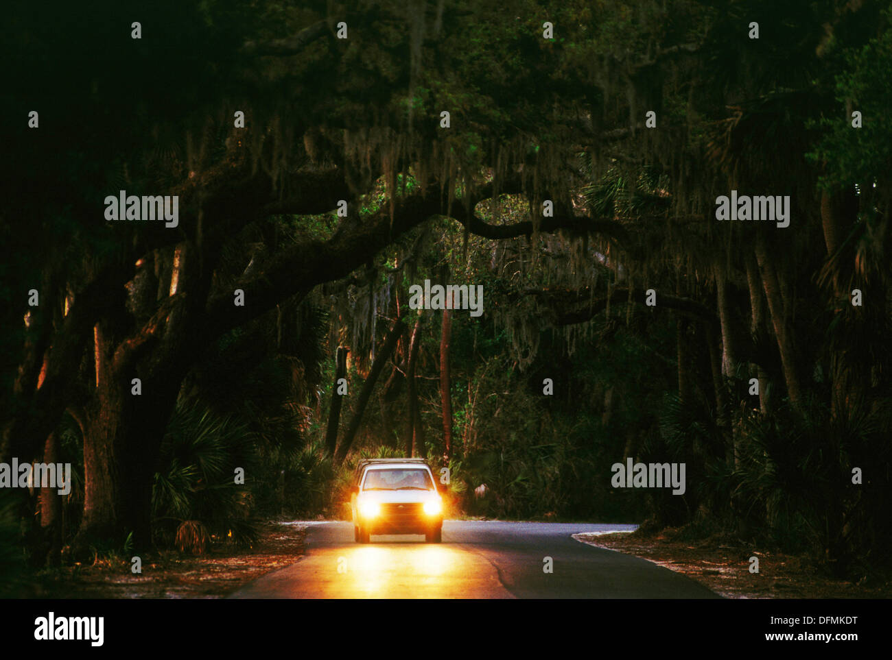Car driving in the forest hi-res stock photography and images - Alamy