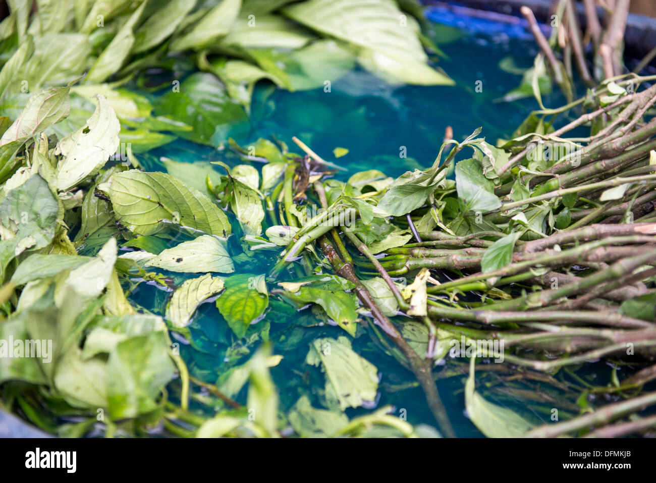 Natural indigo color made by minority group Hmong`s woman, it`s for ...