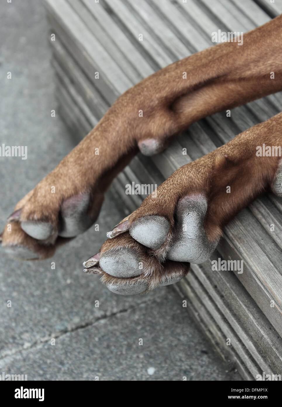 Feet hanging off hi-res stock photography and images - Alamy