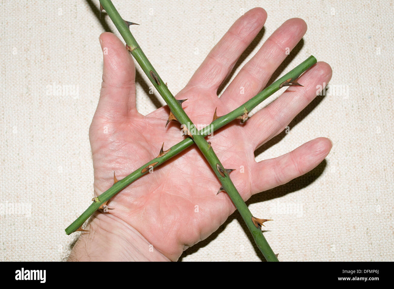 Cross branches hi-res stock photography and images - Alamy