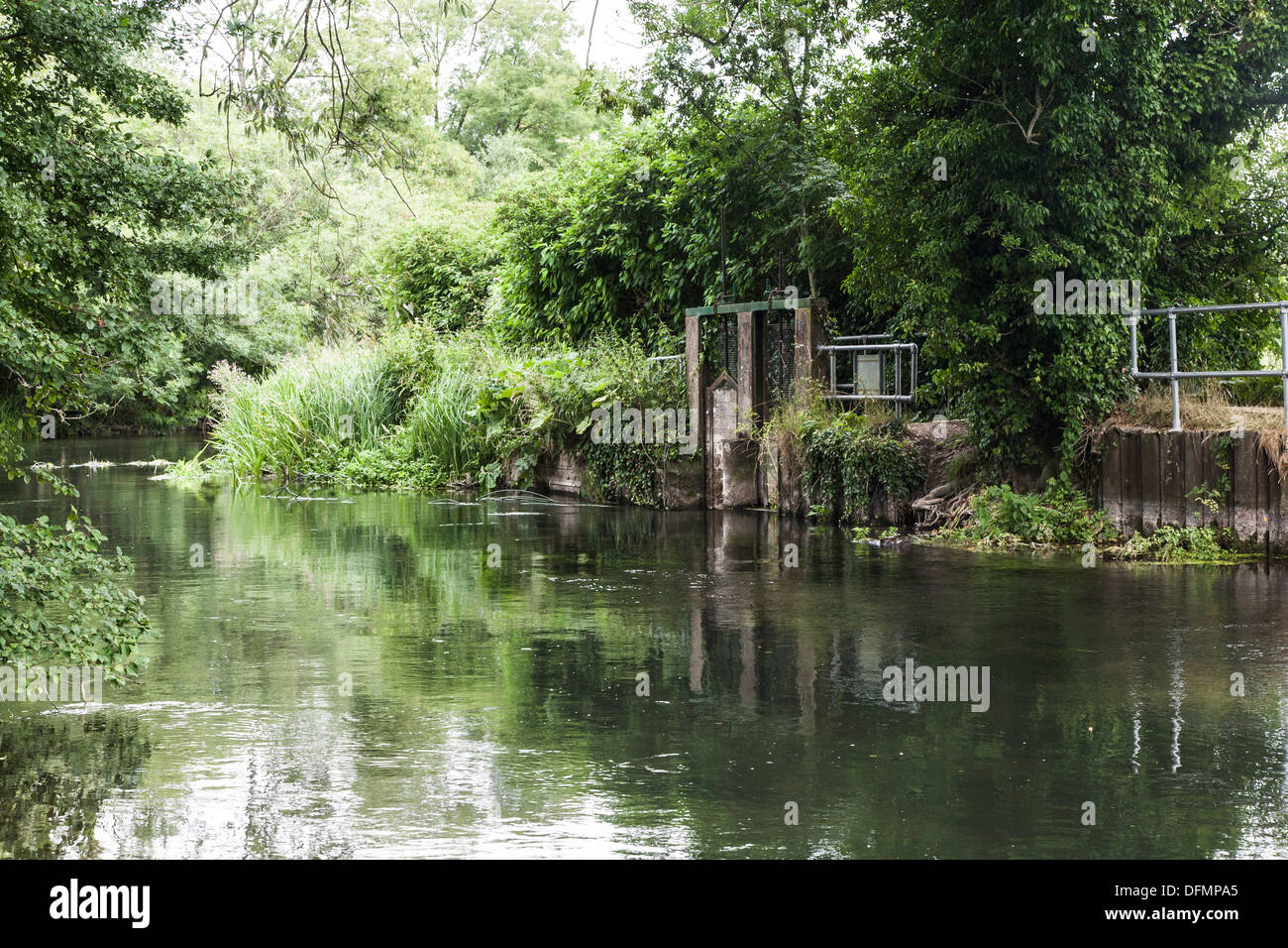 Meandering Country River through trees Stock Photo - Alamy