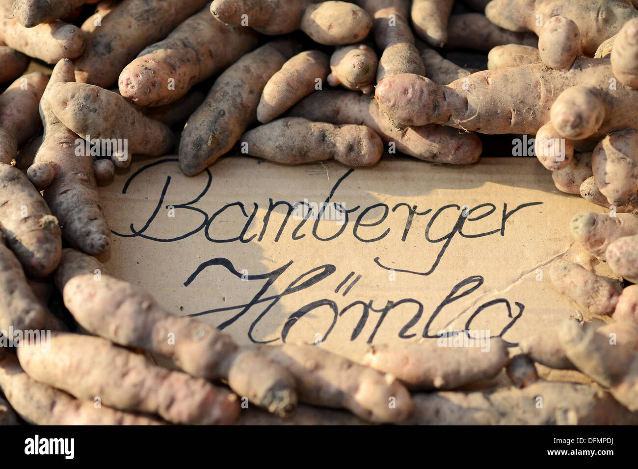Bamberg, Germany. 07th Oct, 2013. Potatos of the 'Bamberg potato ...