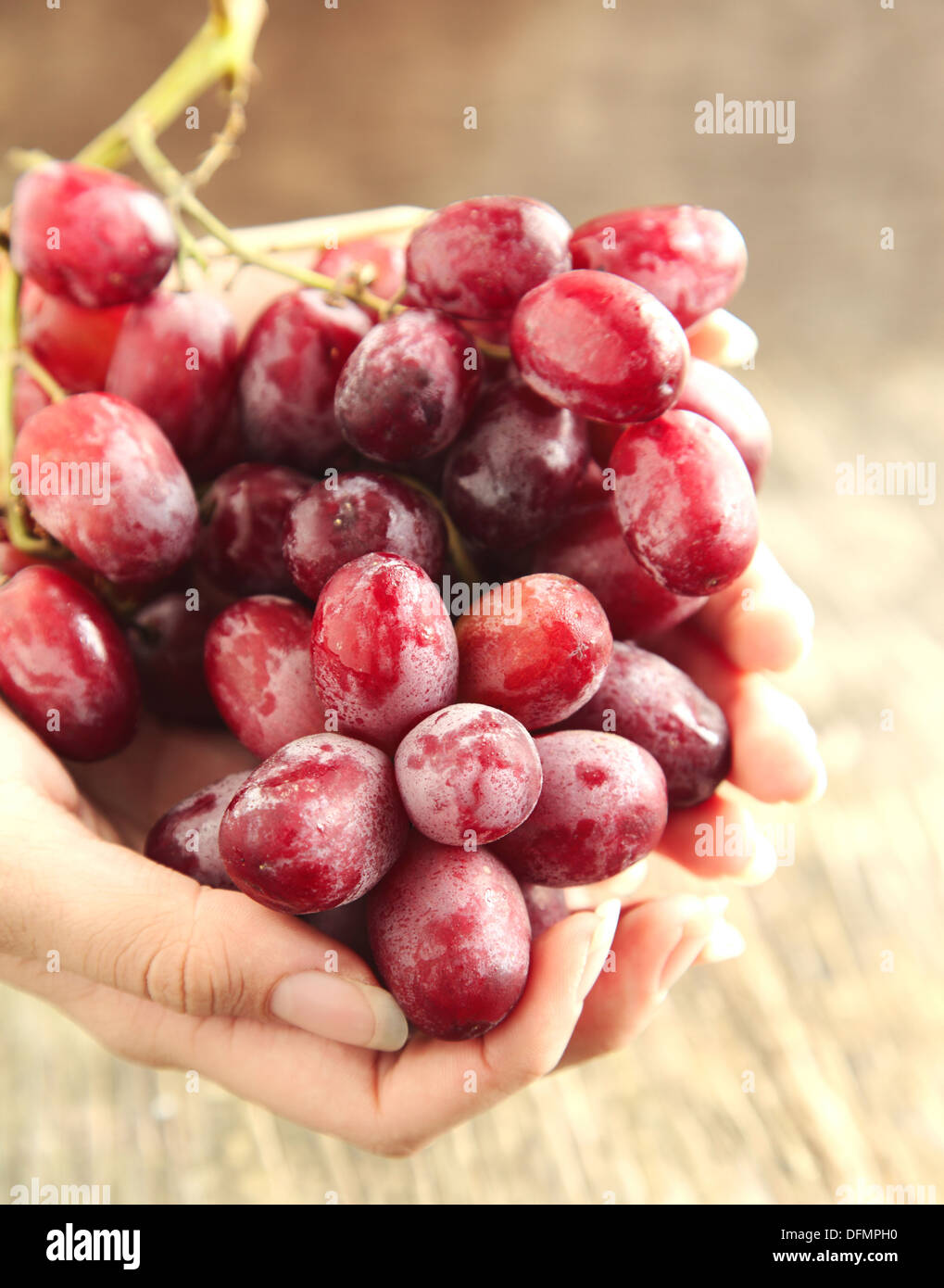 Hand Holding a Bunch of Red Grapes. Selective focus Stock Photo - Alamy