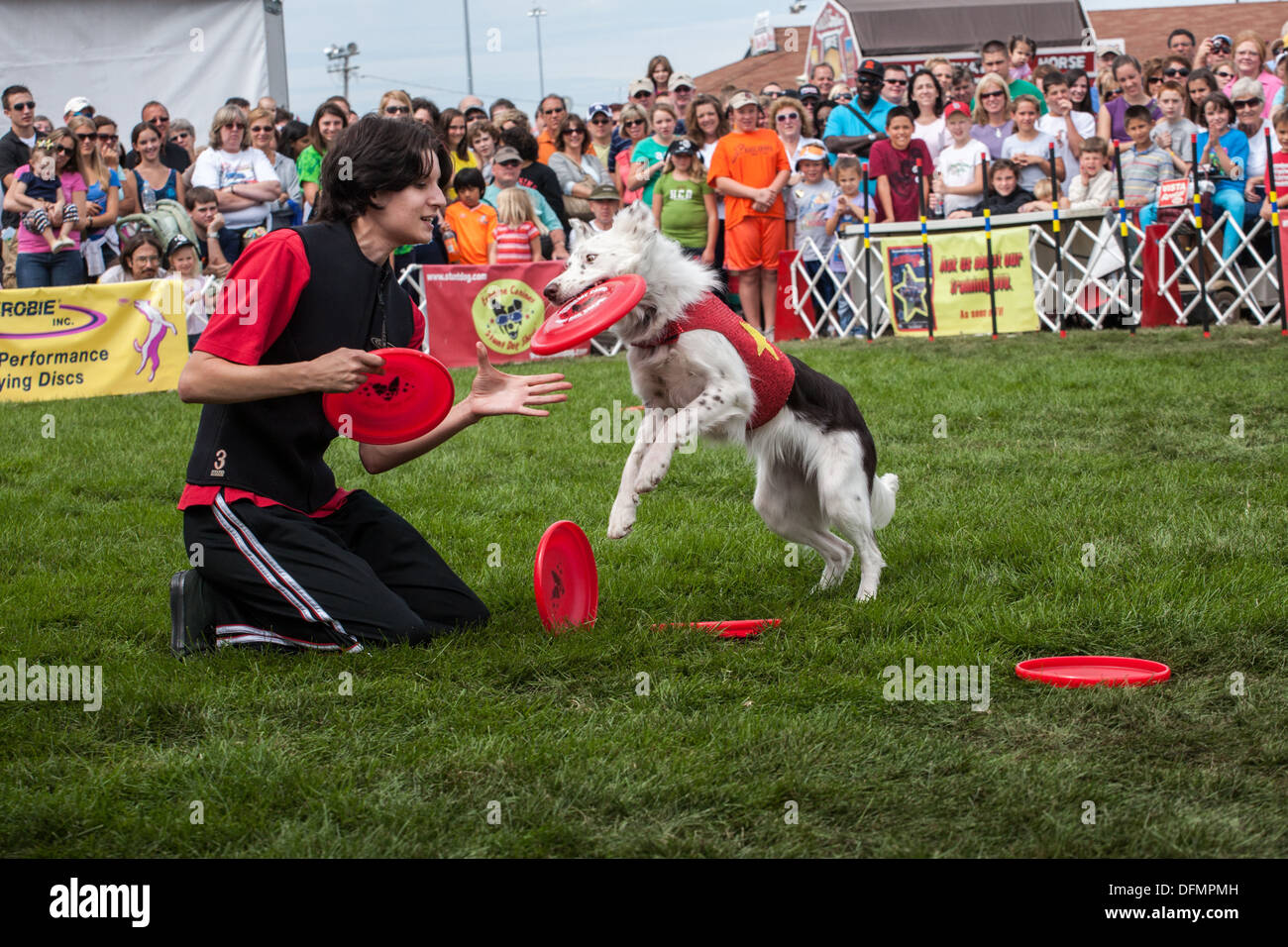 Stunt dog show, "Extreme Canines", Great New York State Fair Stock ...