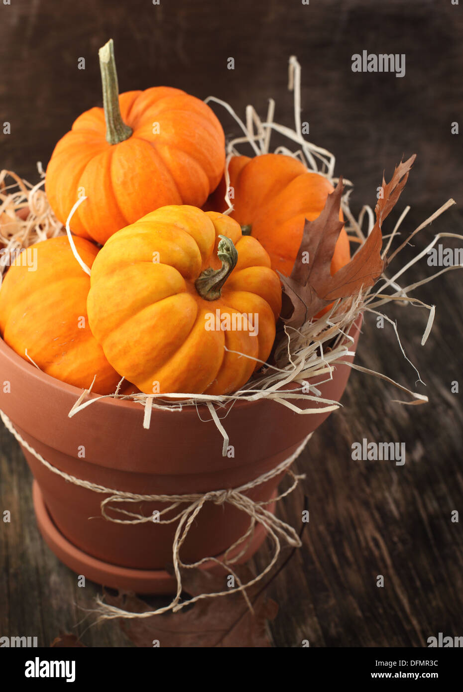 Selective focus tasty halloween hi-res stock photography and images - Alamy