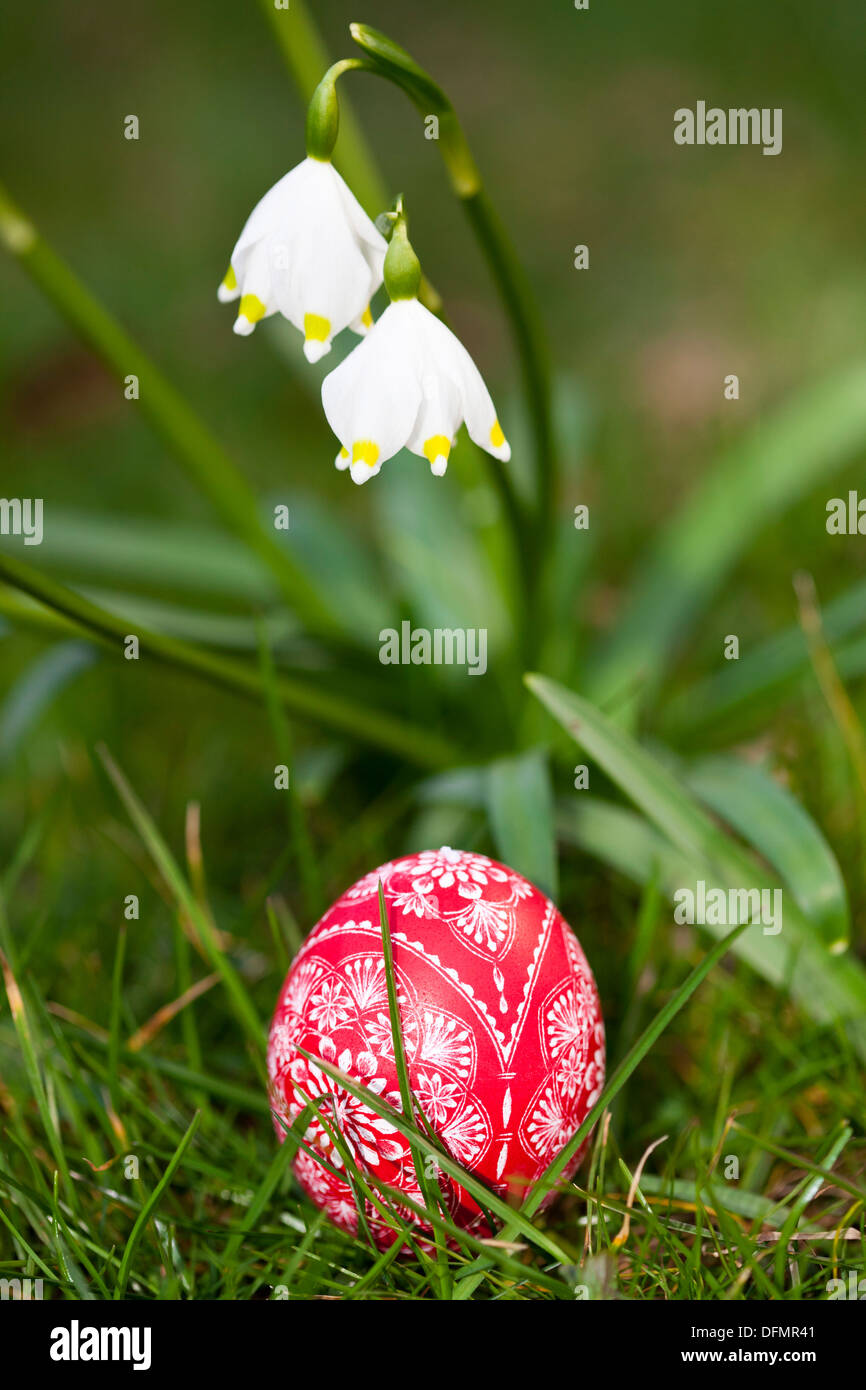 Scratched flower hi-res stock photography and images - Alamy
