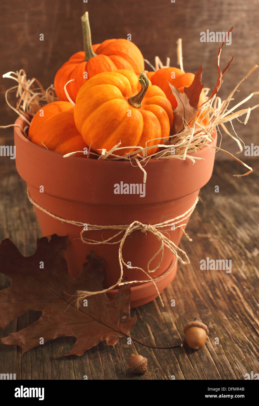 Selective focus tasty halloween hi-res stock photography and images - Alamy