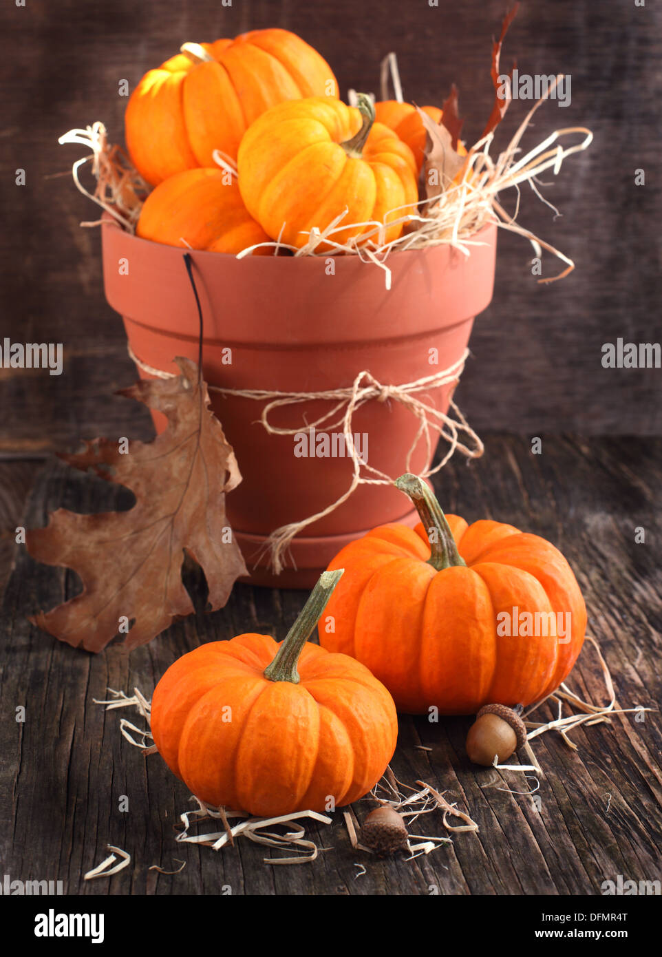 Selective focus tasty halloween hi-res stock photography and images - Alamy