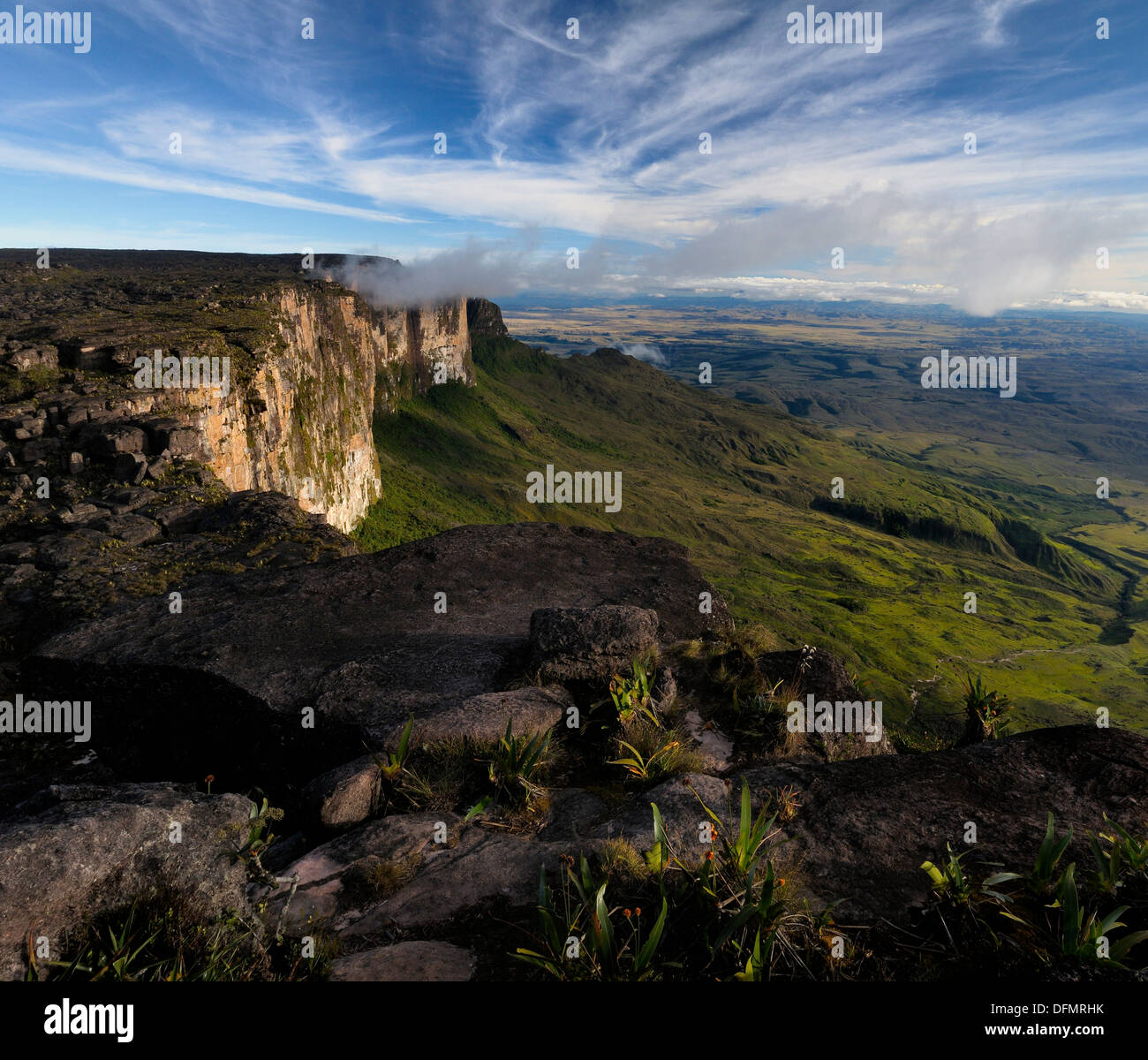 Landscape at the top of mount roraima hi-res stock photography and ...