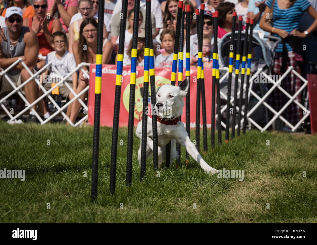 Carnival stunt hi-res stock photography and images - Alamy