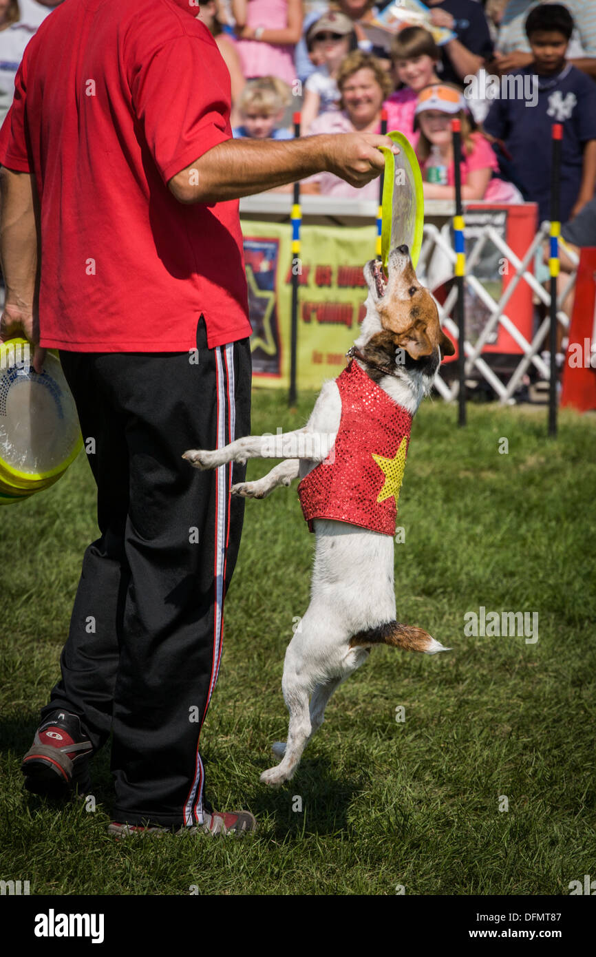 Carnival stunt hi-res stock photography and images - Alamy