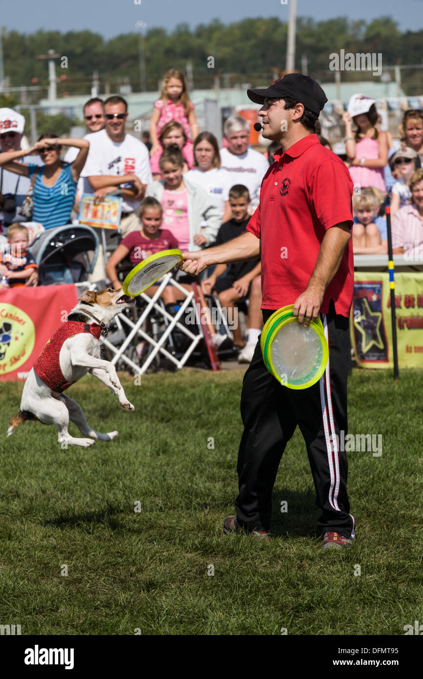 Stunt dog show, "Extreme Canines", Great New York State Fair Stock ...