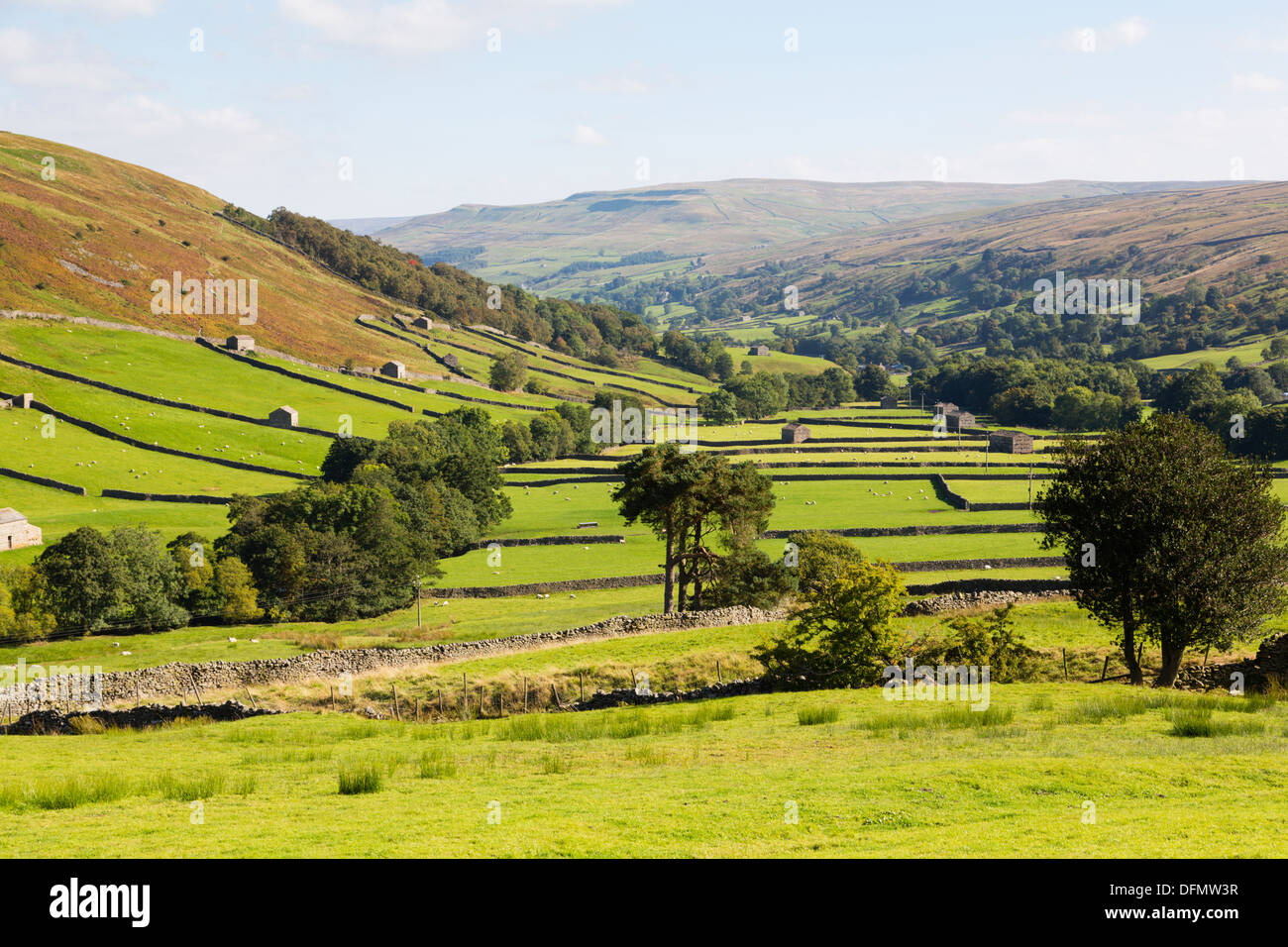 Twaite hi-res stock photography and images - Alamy