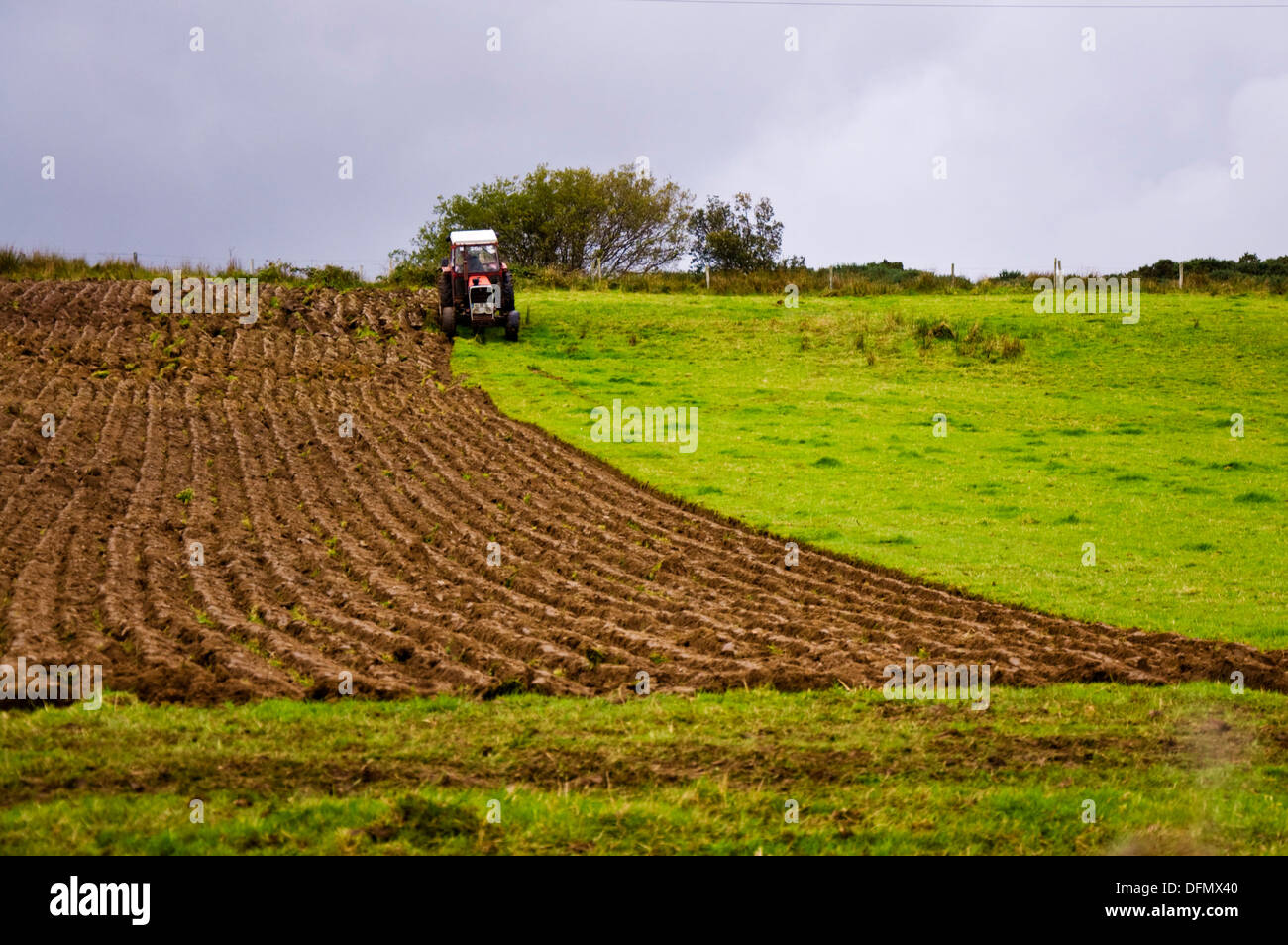 A farmer ploughs land previously used as grazing for beef cattle in ...