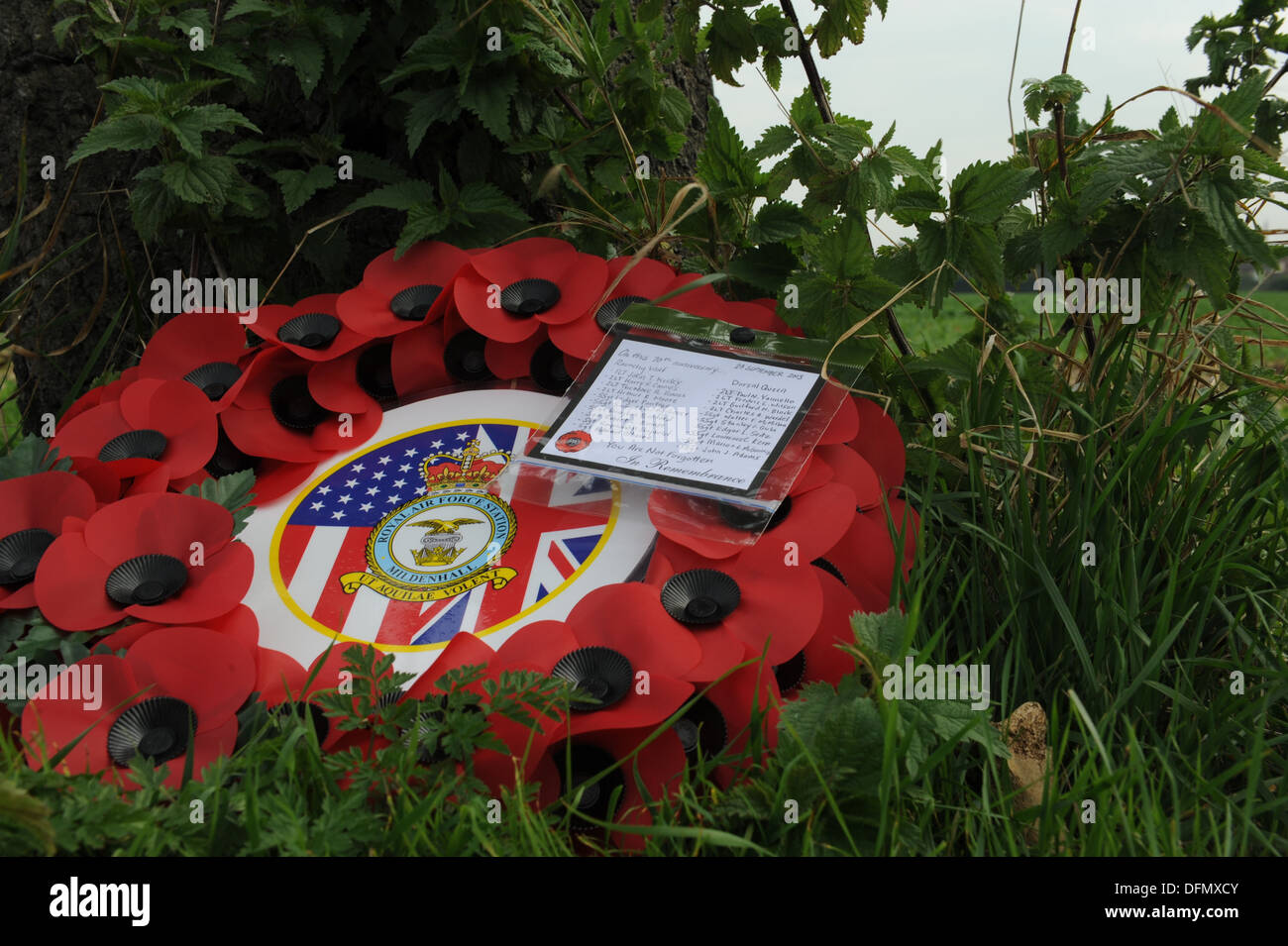 Bozzer hi-res stock photography and images - Alamy