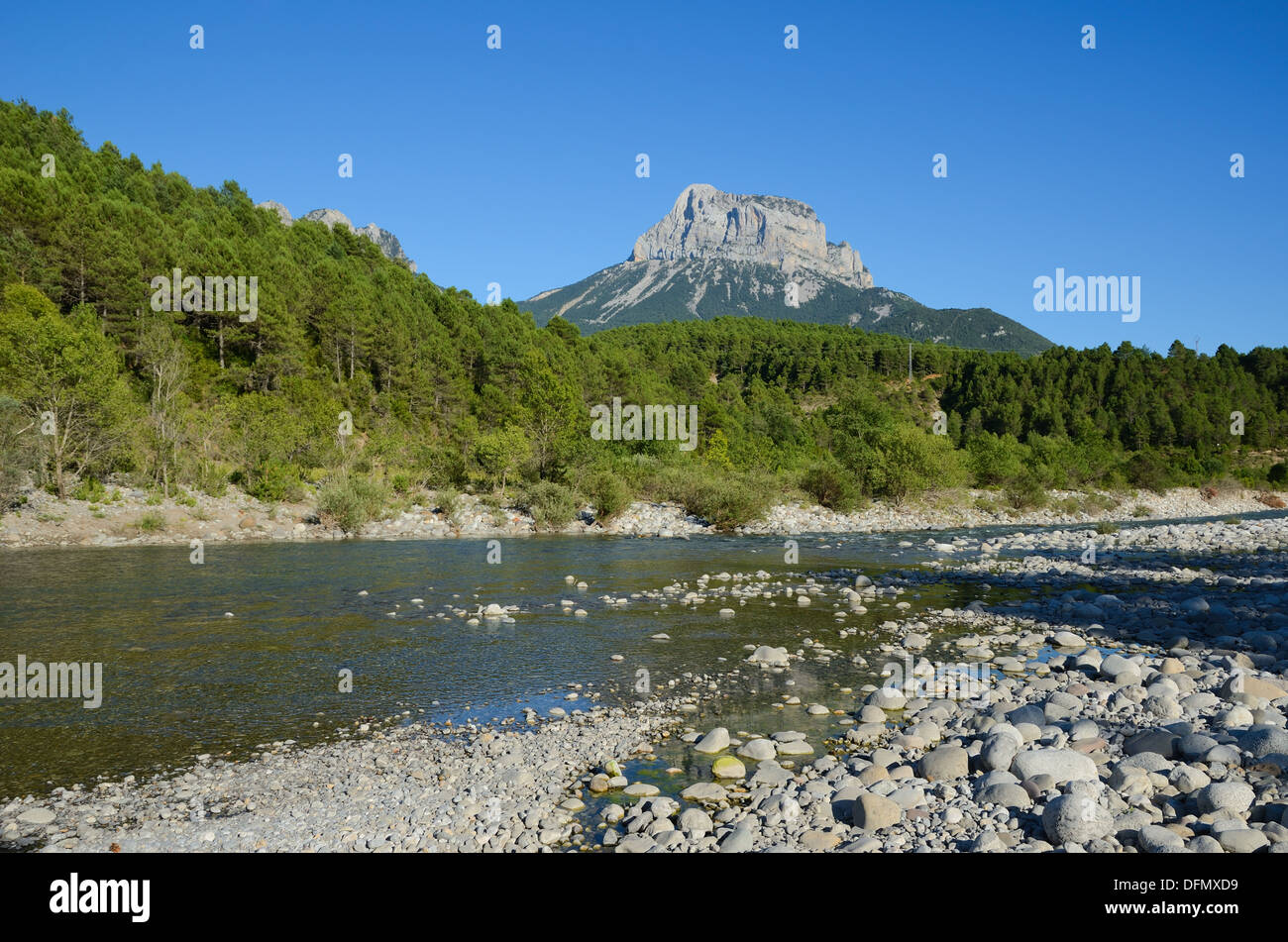 Shallow summer river hi-res stock photography and images - Alamy