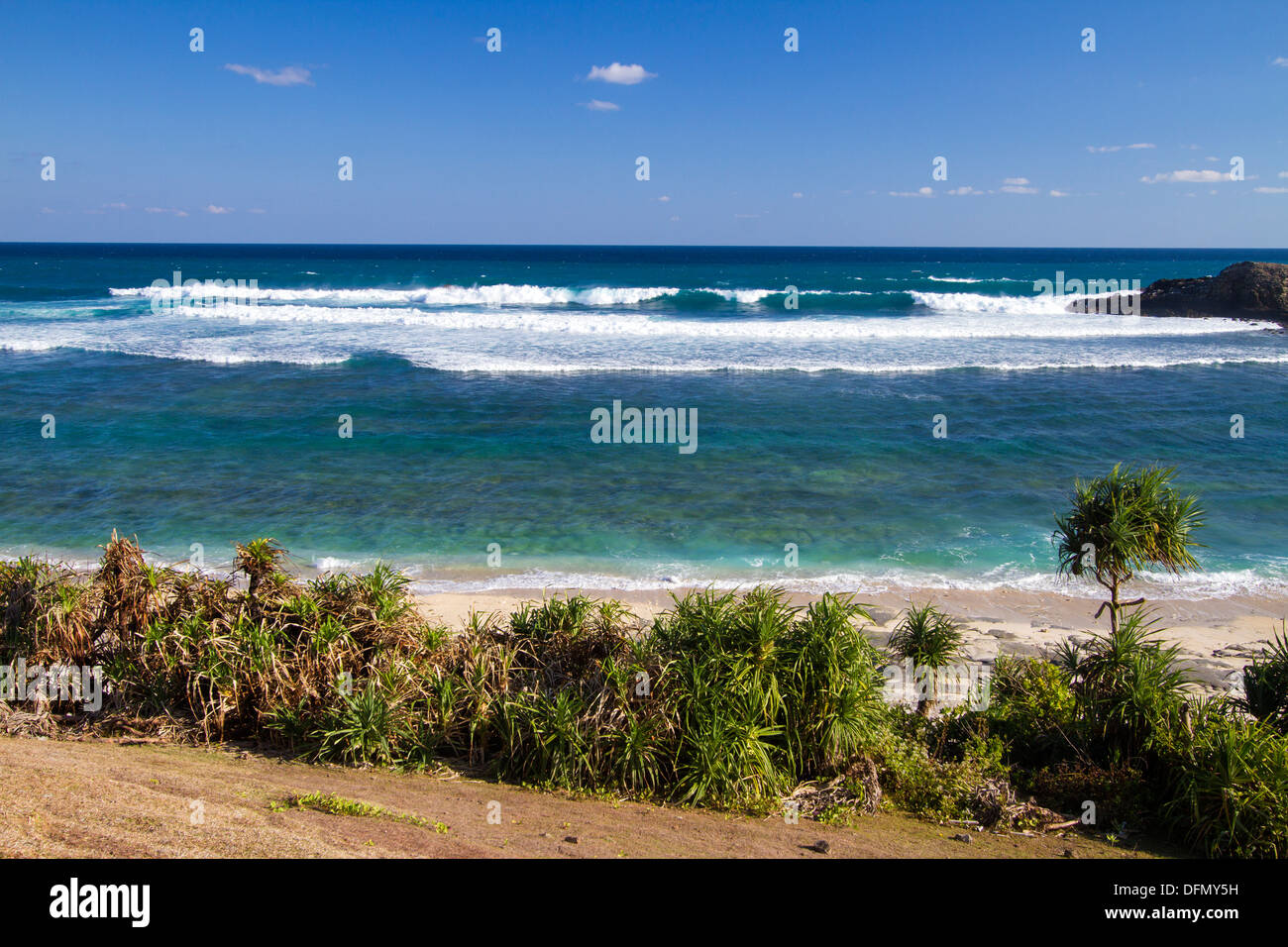 Java island reef hi-res stock photography and images - Alamy